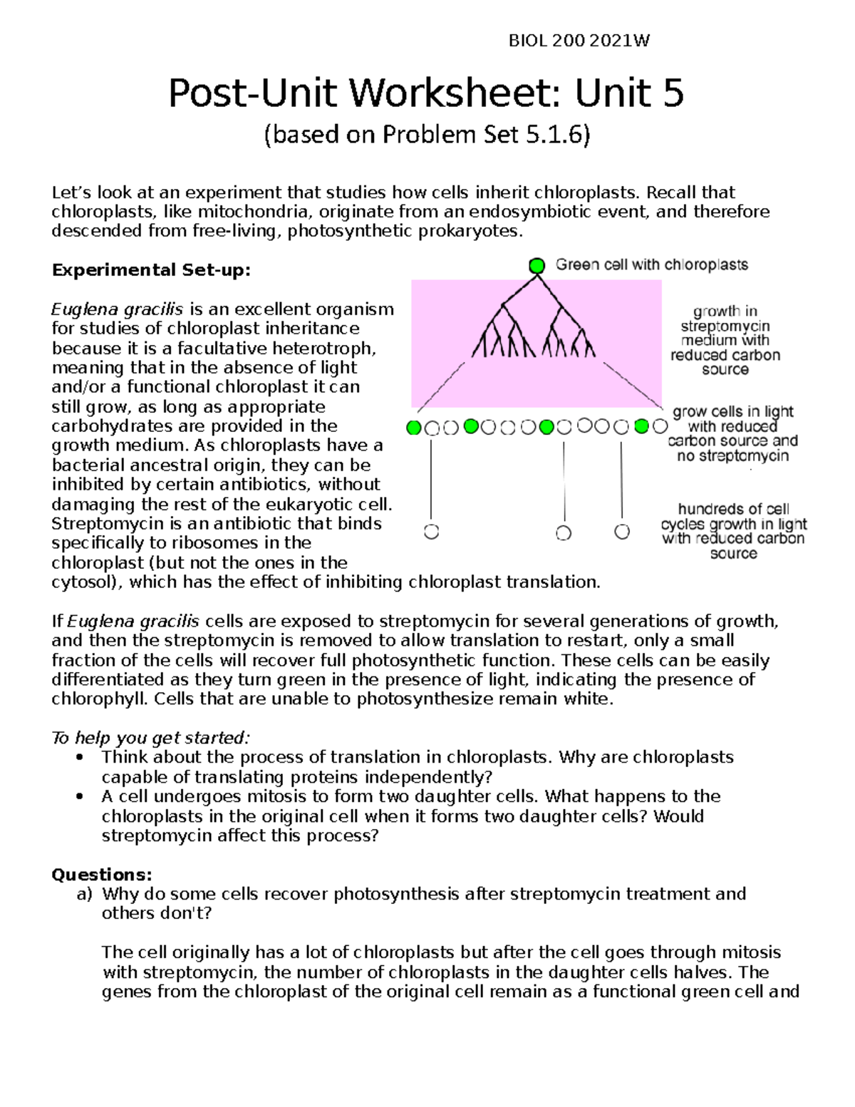 POST UNIT 5 WS - Worksheet - BIOL 200 2021W Post-Unit Worksheet: Unit 5 ...