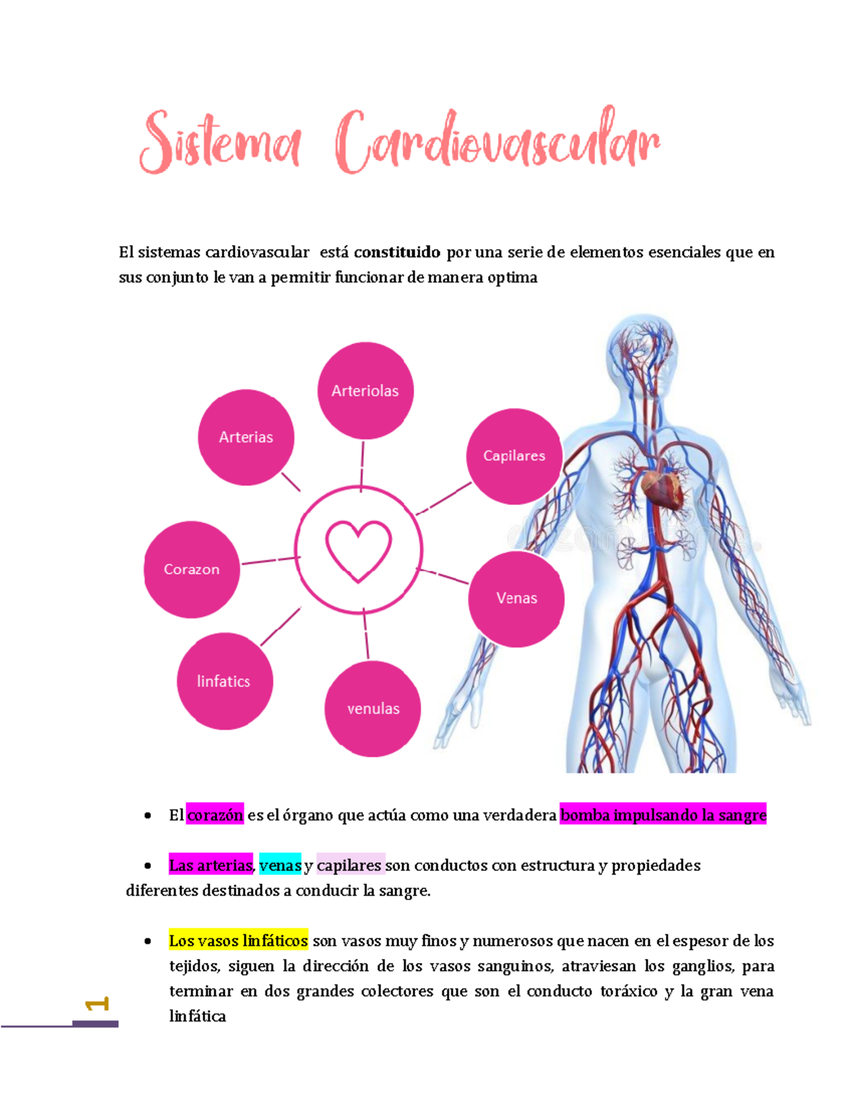 Sistema cardiovascular informacion esencial - Warning: TT: undefined function: 32 1 El sistemas ...