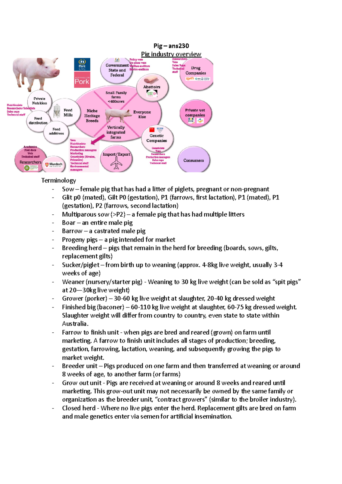 Pig ans230 - pig lecture notes - Pig – ans Pig industry overview ...