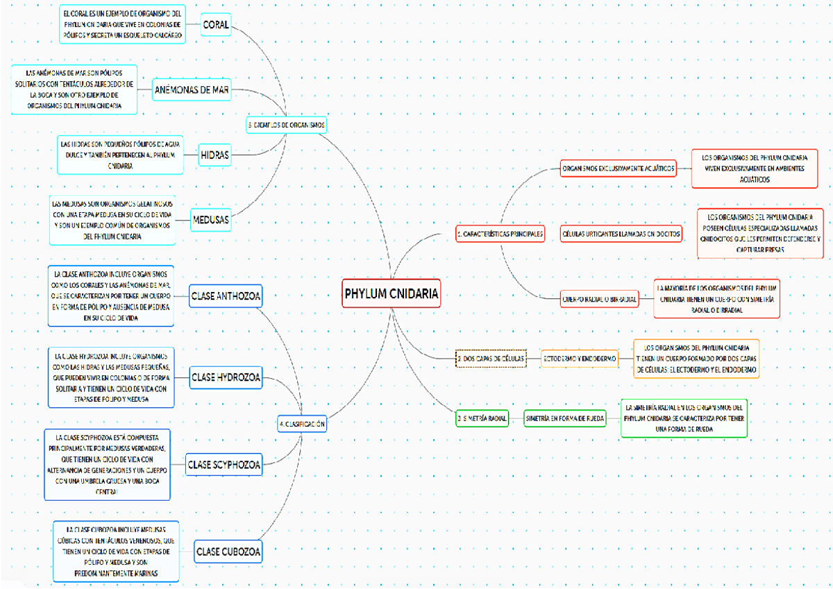 Pylum Cnidaria - Paleontología General - Studocu