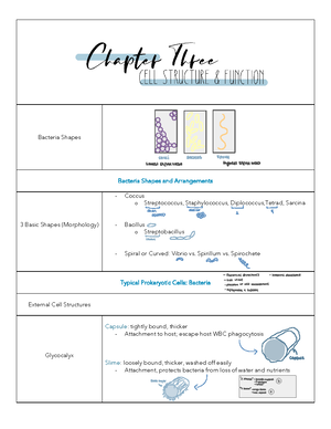 Lab Lecture 2: Bacteria Tests Part 2 - Microbiology MCB 2010C ...