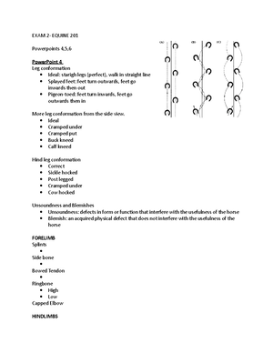 Mock Interview Cheat Sheet - QUESTIONS FOR INTERVIEWS Why are you ...