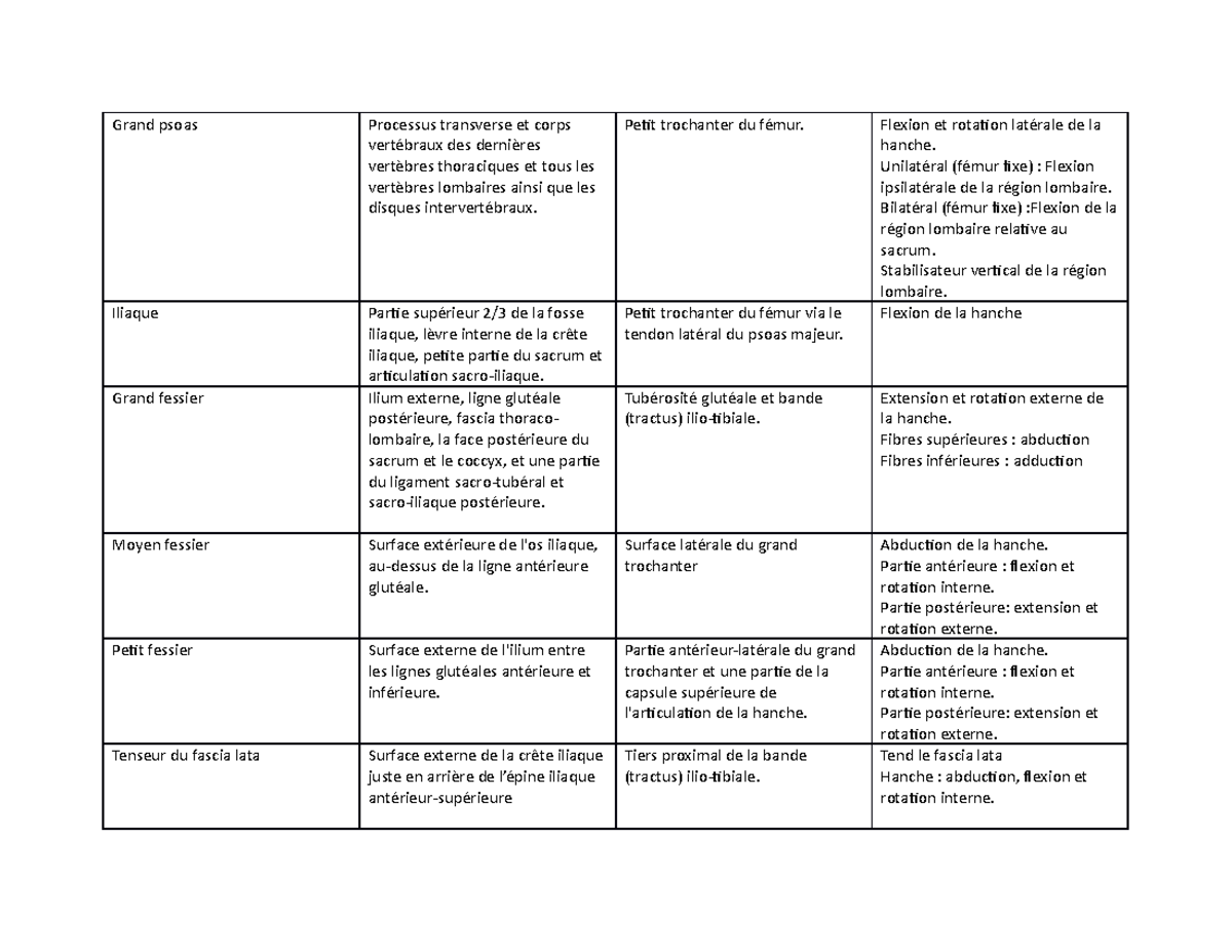 Anatomie hanche et cuisse - Grand psoas Processus transverse et corps ...