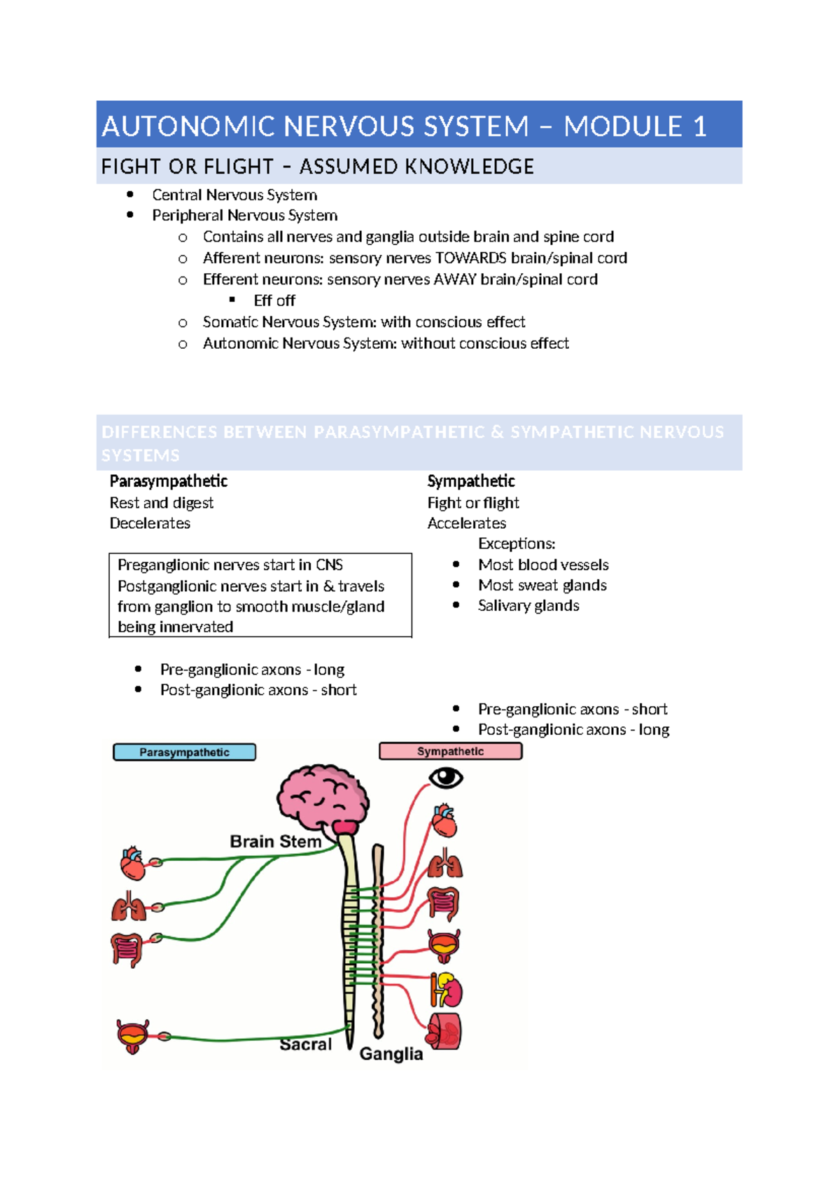 2024 BIOM2012 Autonomic Nervous System Notes - AUTONOMIC NERVOUS SYSTEM ...