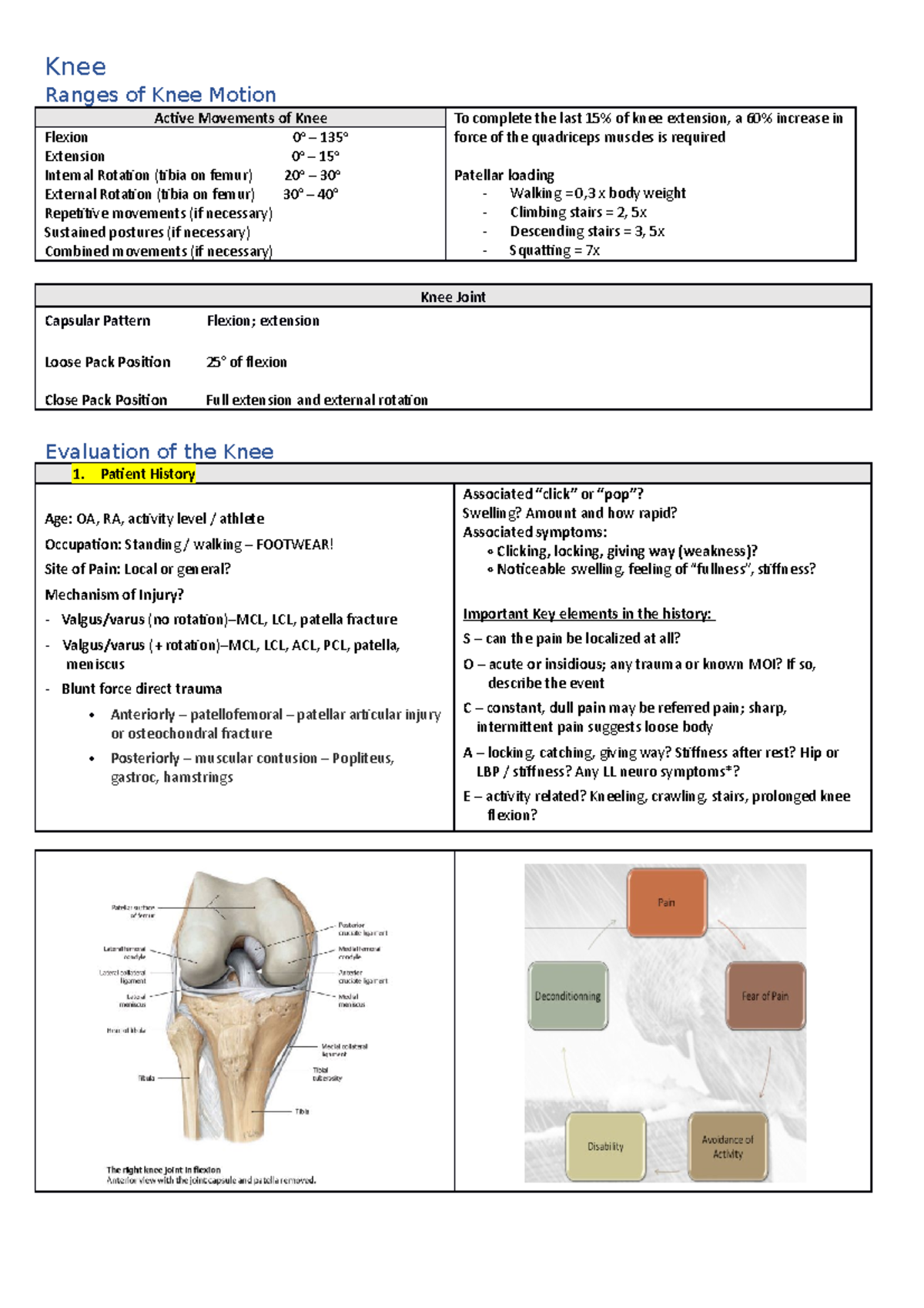 Knee Ortho - Prac notes - Knee Ranges of Knee Motion Active Movements ...