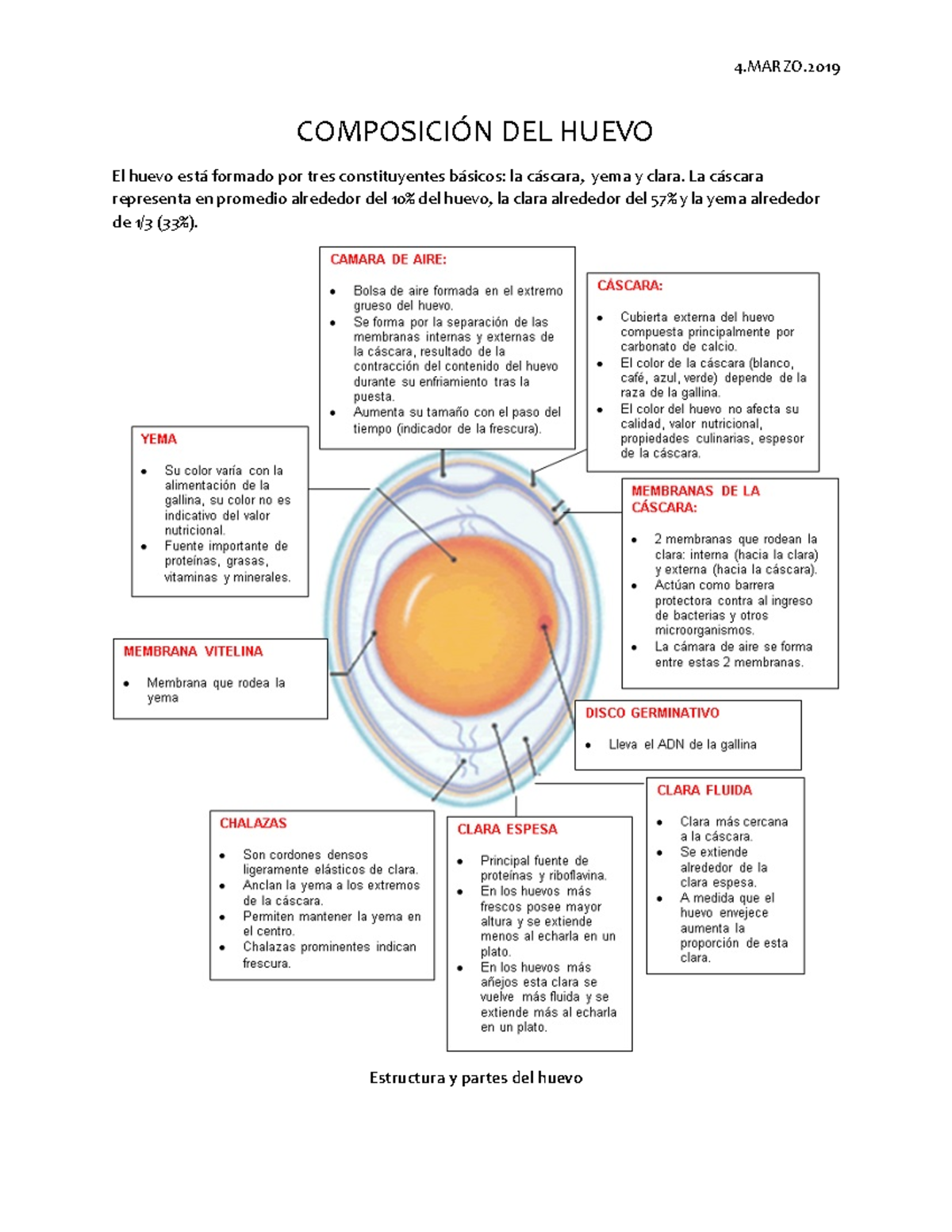 Huevo - Definición, composición y propiedades - COMPOSICIÓN DEL HUEVO ...