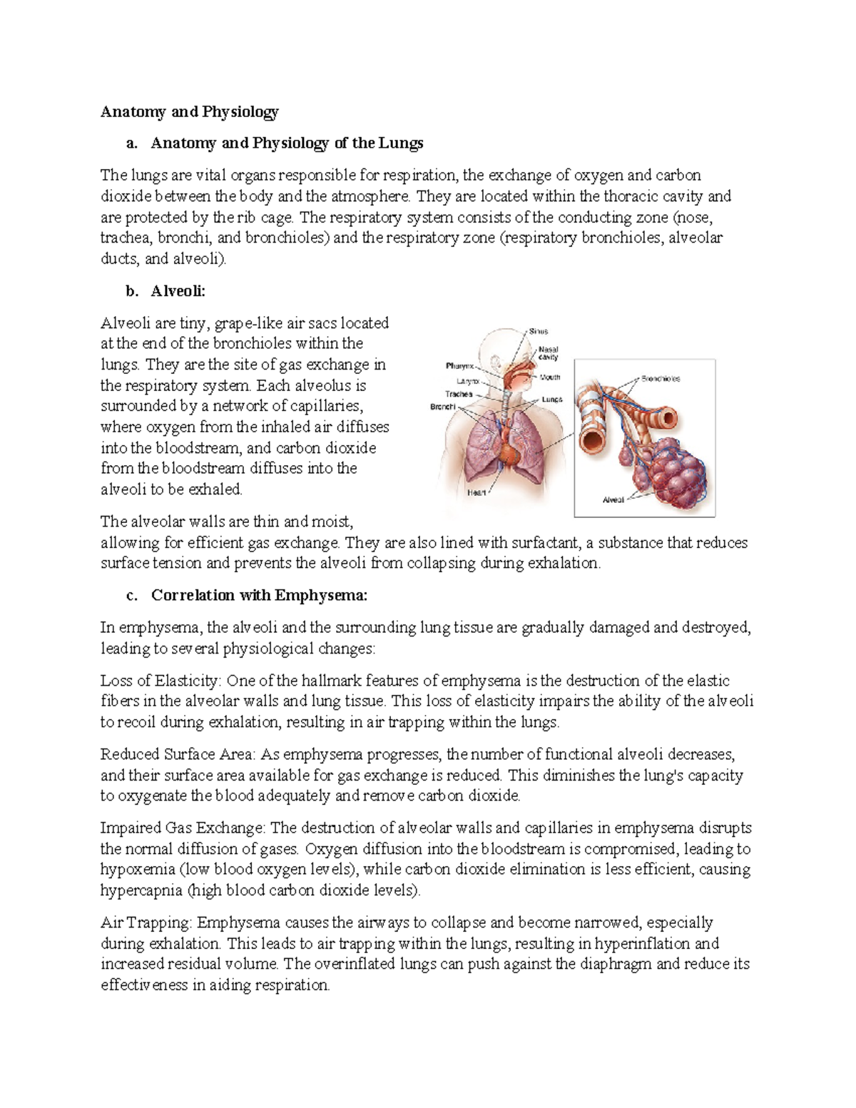 Zyrene Emphysema - Anatomy and Physiology a. Anatomy and Physiology of ...