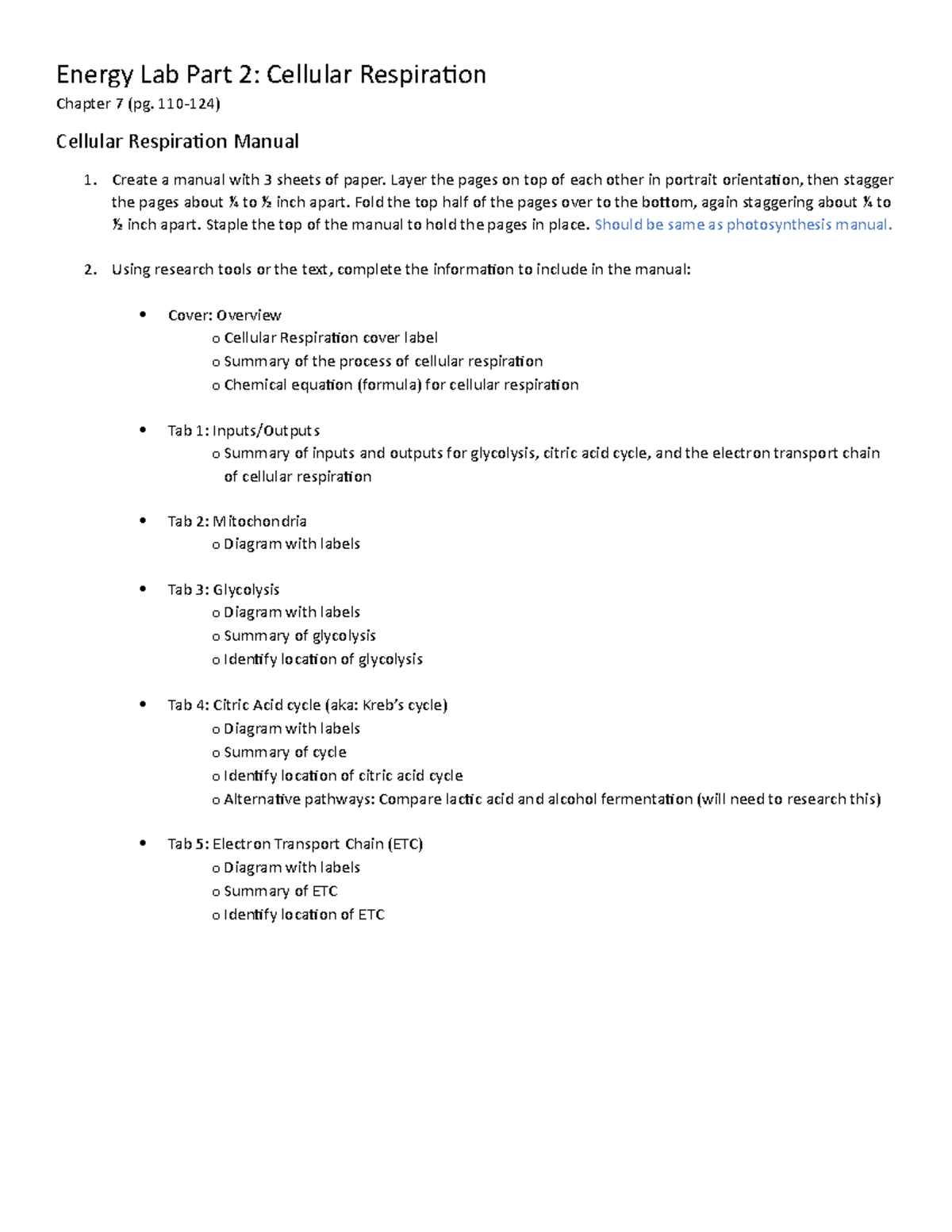 Energy Lab Part 2 - Cellular Respiration - Energy Lab Part 2: Cellular ...