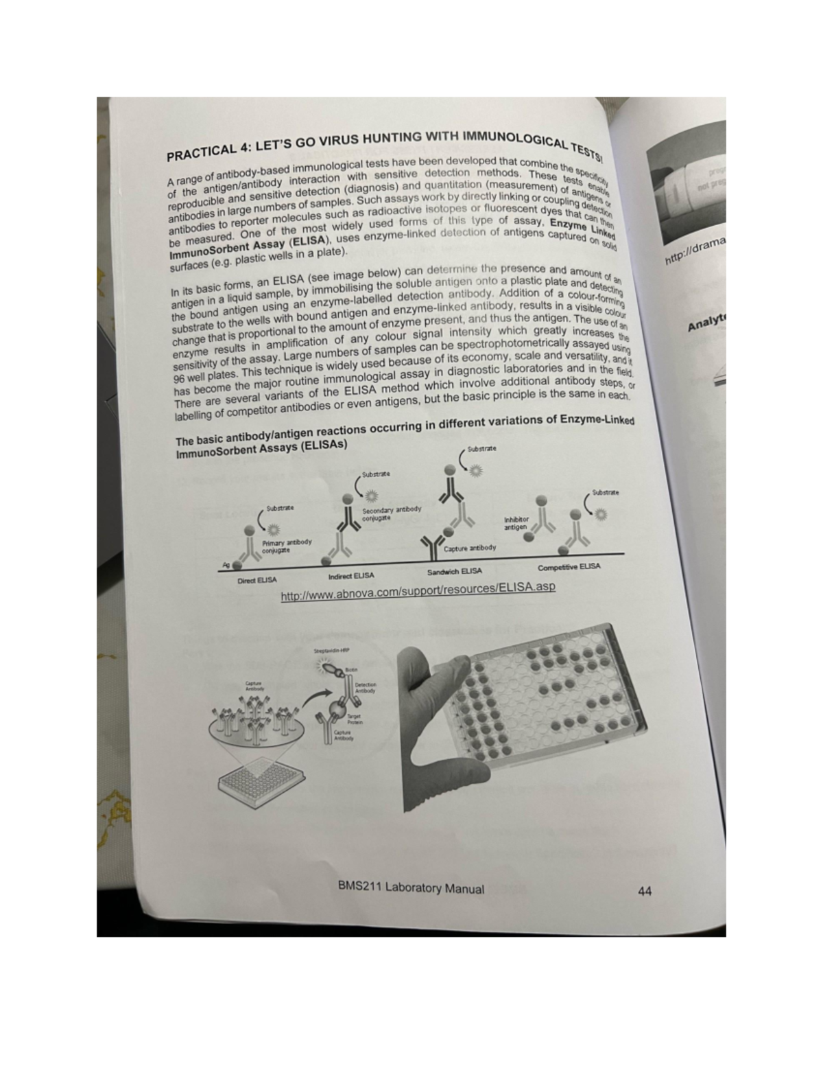 Prac 4 - Lab4 - BMS211 - Studocu