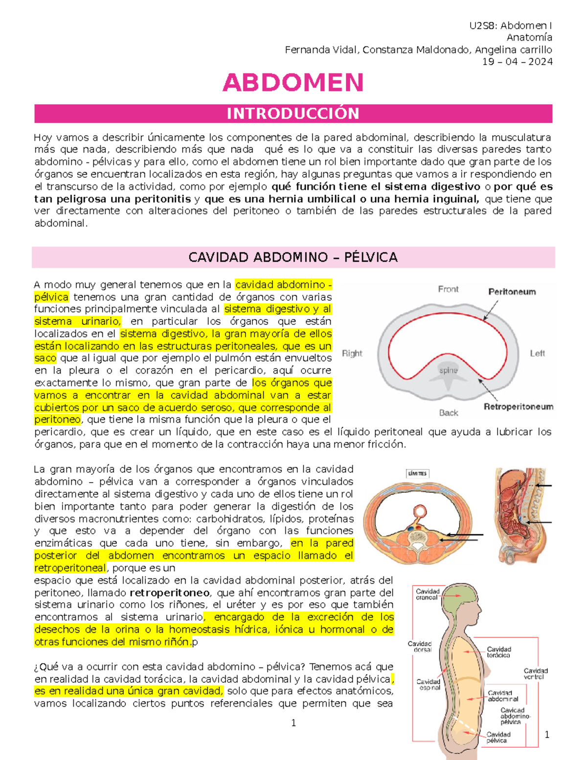 08 Abdomen I CON Imagen - Anatomía Fernanda Vidal, Constanza Maldonado ...