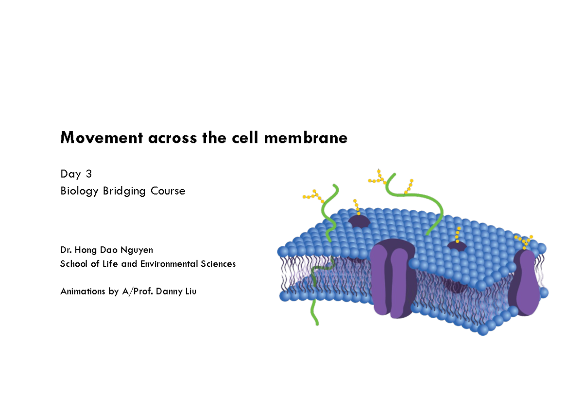 Cellular Respiration - Movement across the cell membrane Day 3 Biology ...