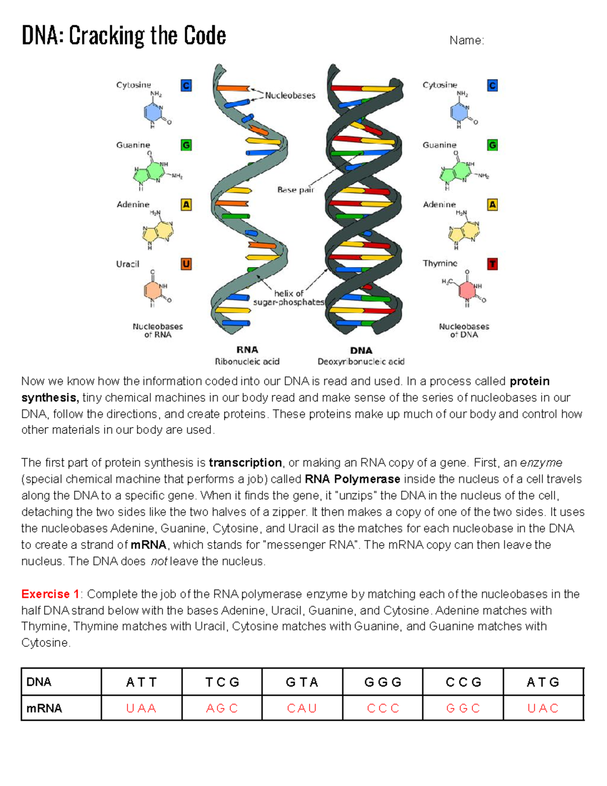 Copy of Copy of DNA Cracking the Code - DNA: Cracking the Code Name ...