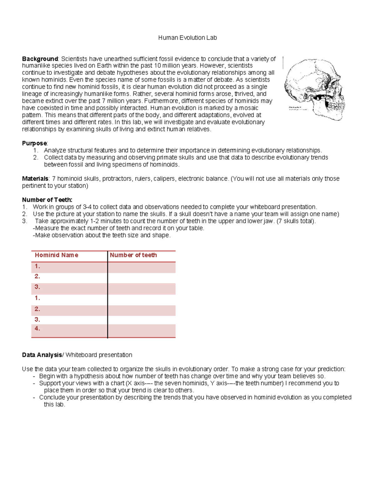 Hominid Evolution Lab number of teeth - Human Evolution Lab Background ...