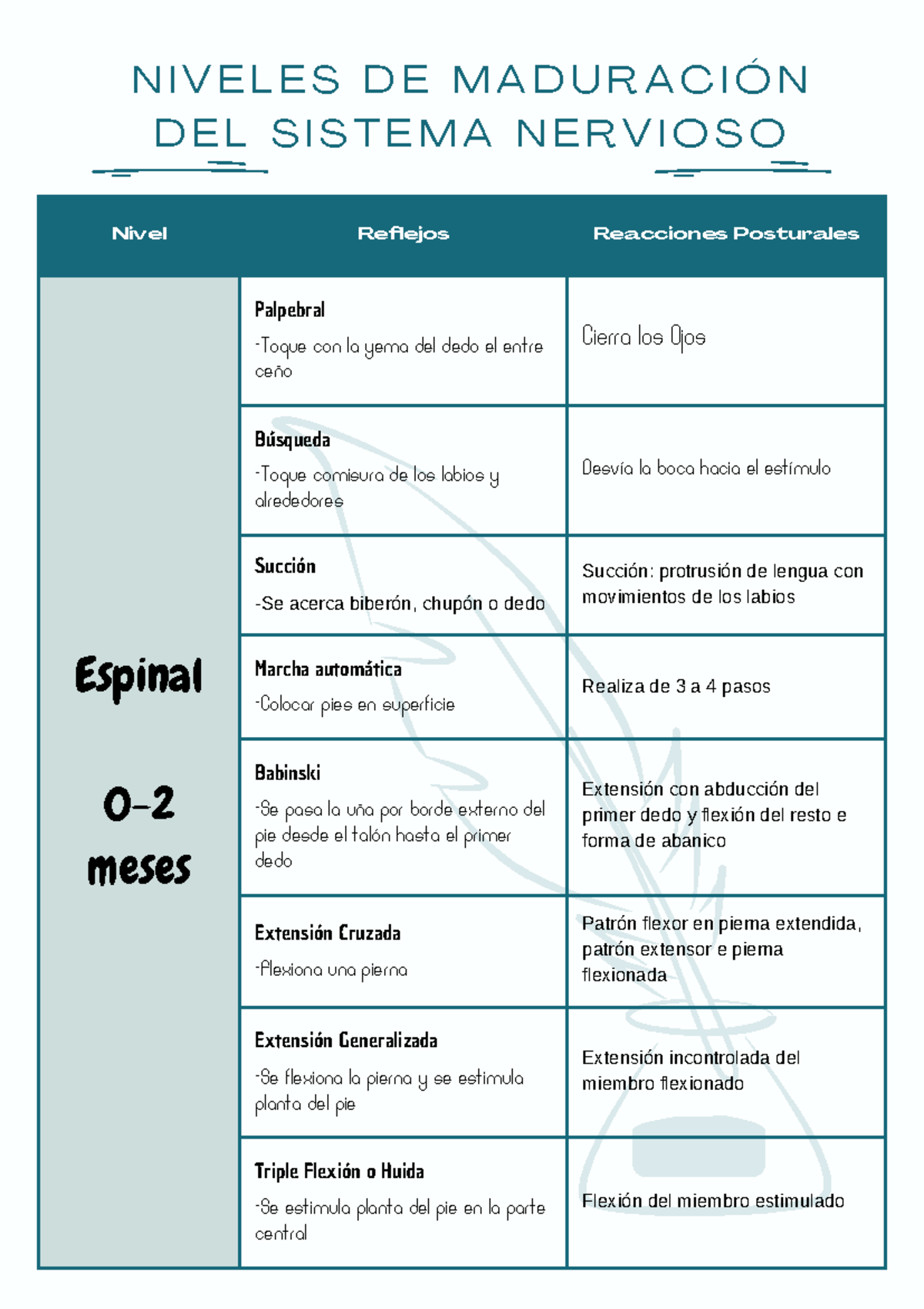 Cuadro sinoptico - TAREA - Nivel Reflejos Reacciones Posturales Espinal 0- meses Palpebral ...