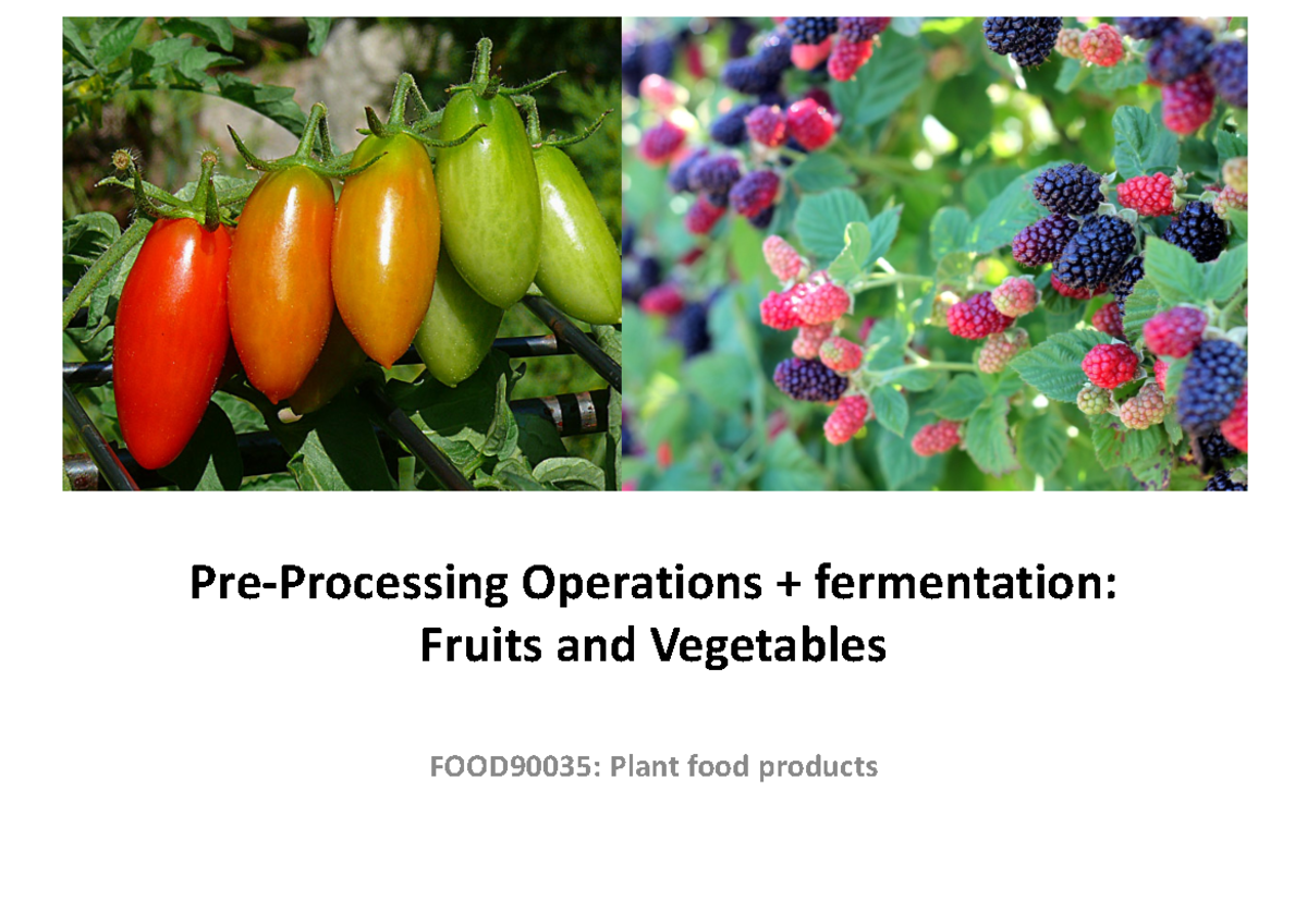 W4 Pant food processing treatments - Pre-Processing Operations ...