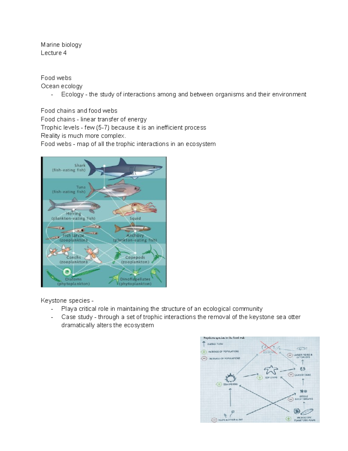 Marine biology week 2 lecture 4 - Marine biology Lecture 4 Food webs ...