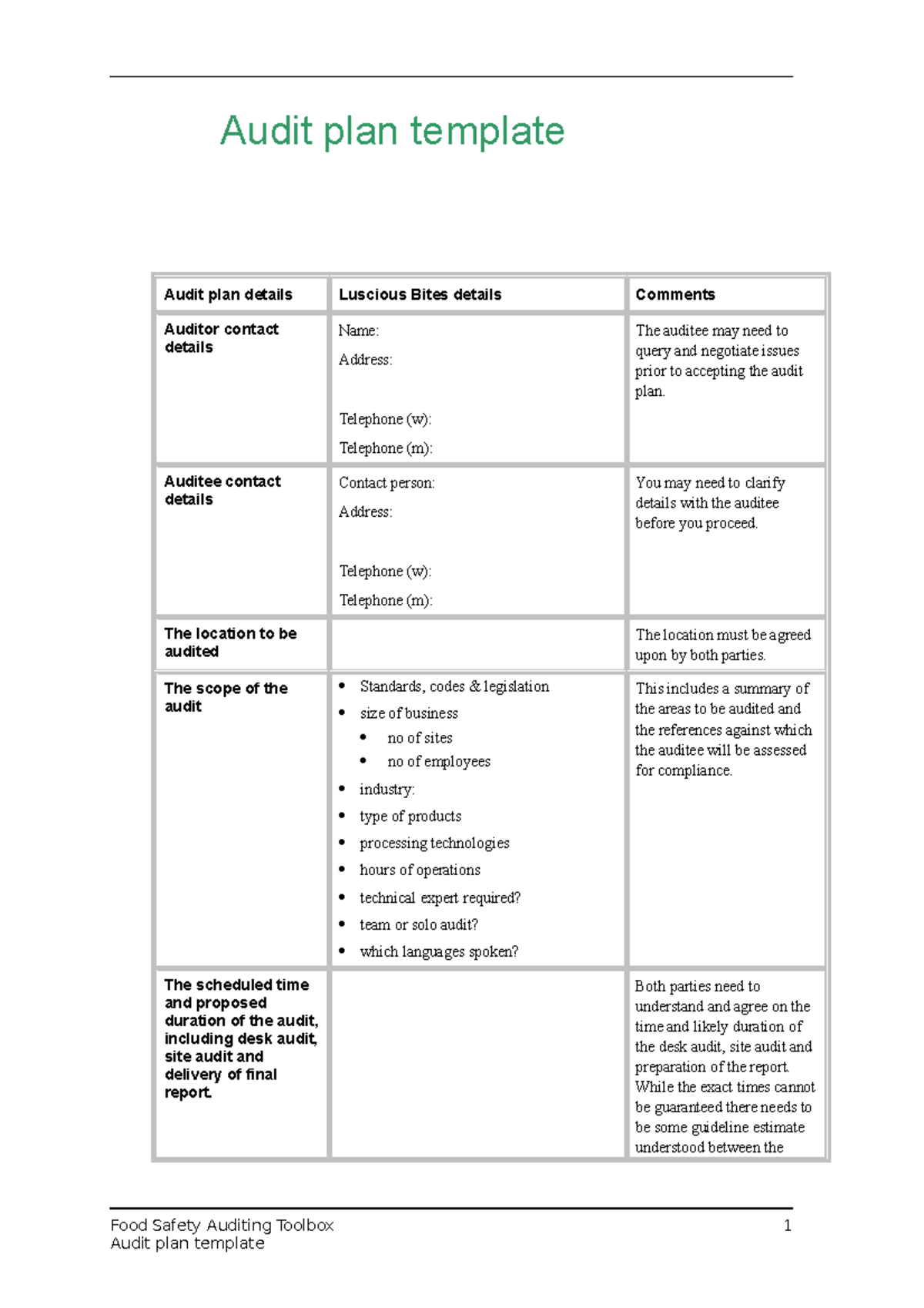 Audit Plan Template Audit Plan Template Audit Plan Details Luscious