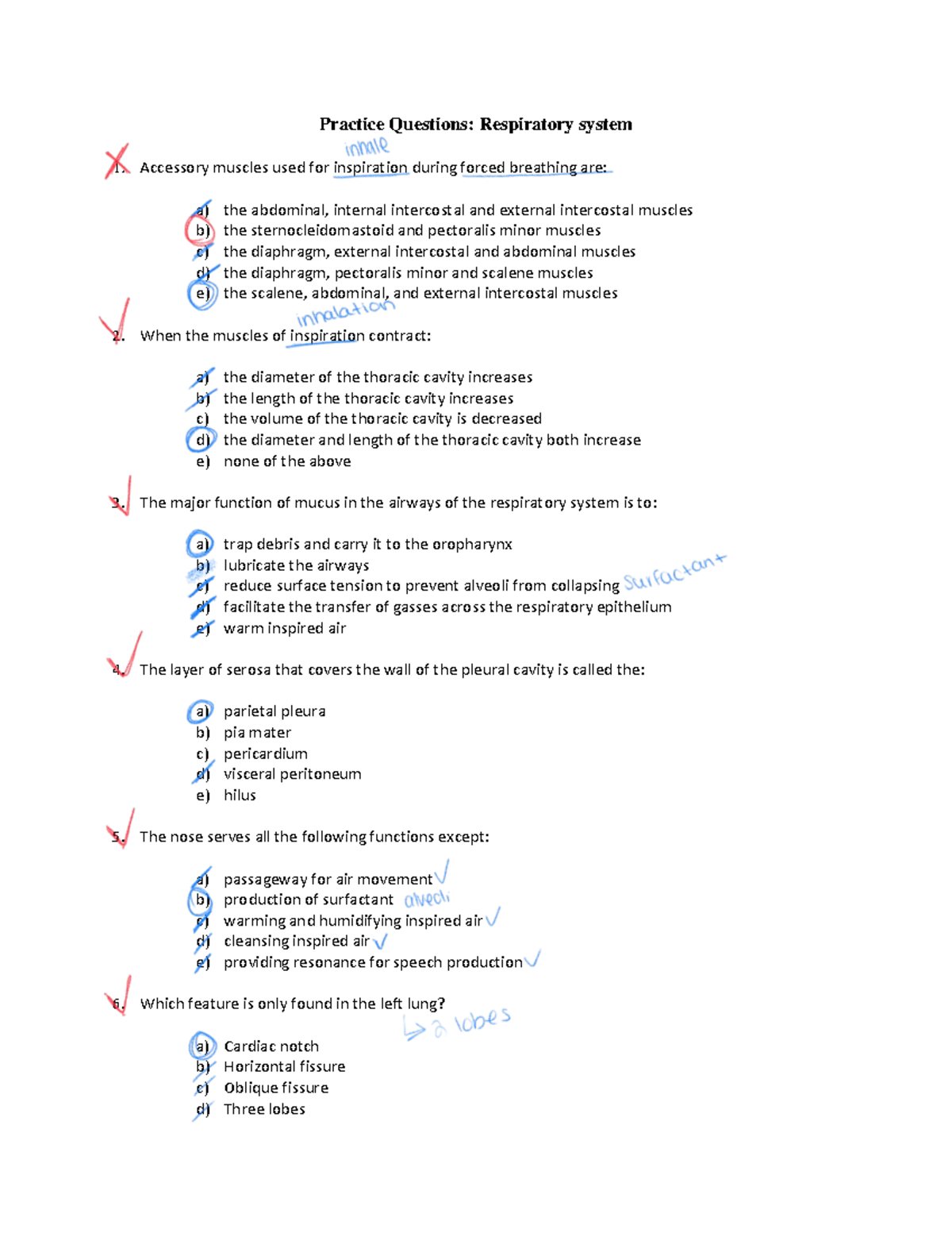 Respiratory System - Practice Test - Practice Questions: Respiratory ...