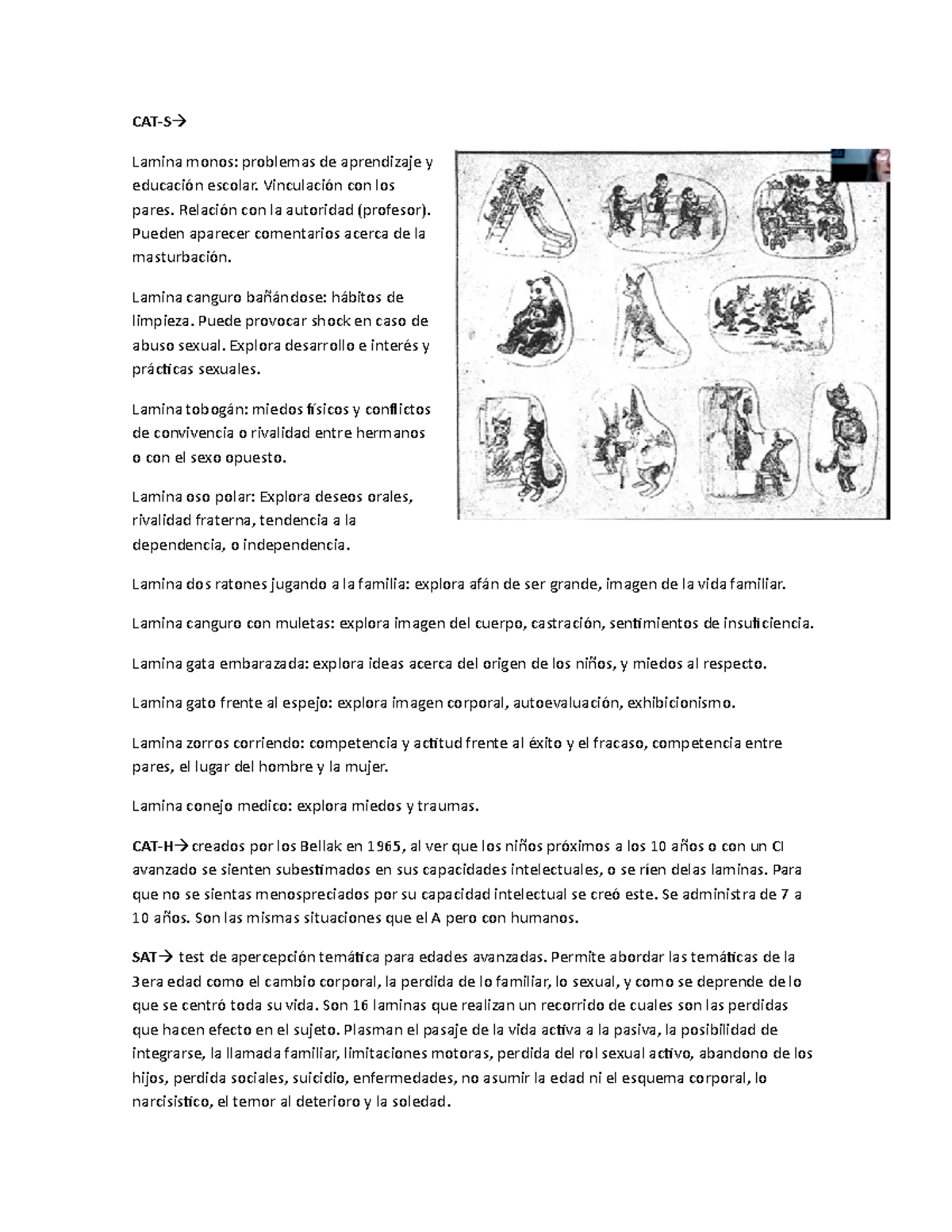 CAT - Resumen sobre el CAT - CAT-S Lamina monos: problemas de ...