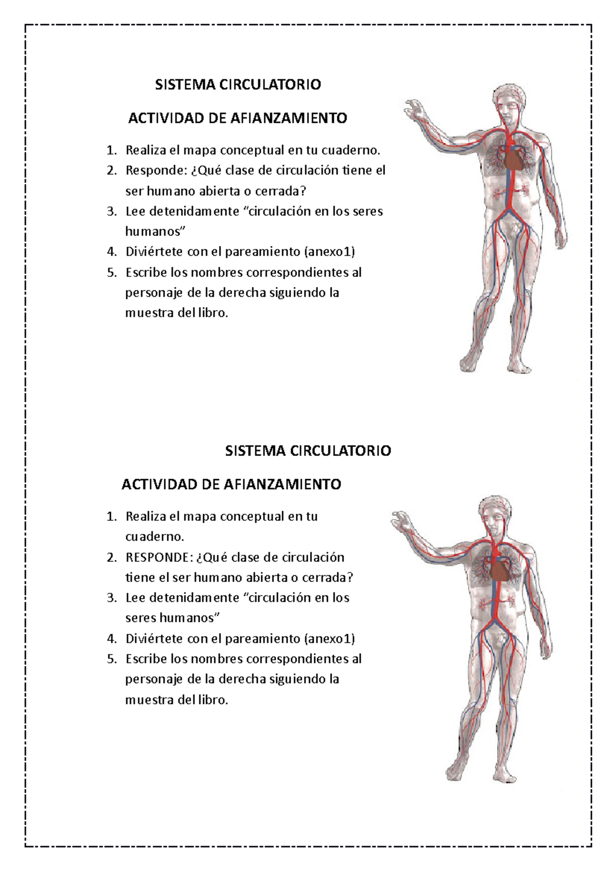 Activiadad DE circulatorio - SISTEMA CIRCULATORIO ACTIVIDAD DE ...