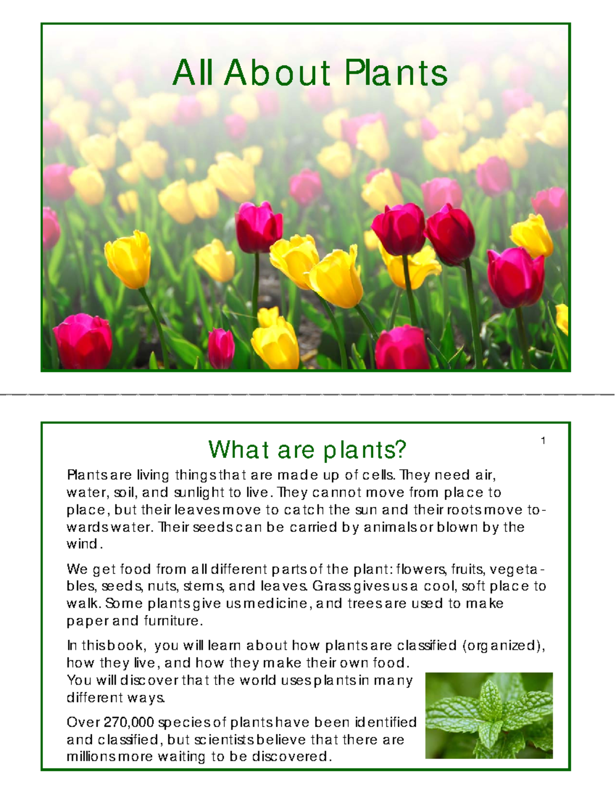 All About Plants Printable Book - All About Plants Plants are living ...