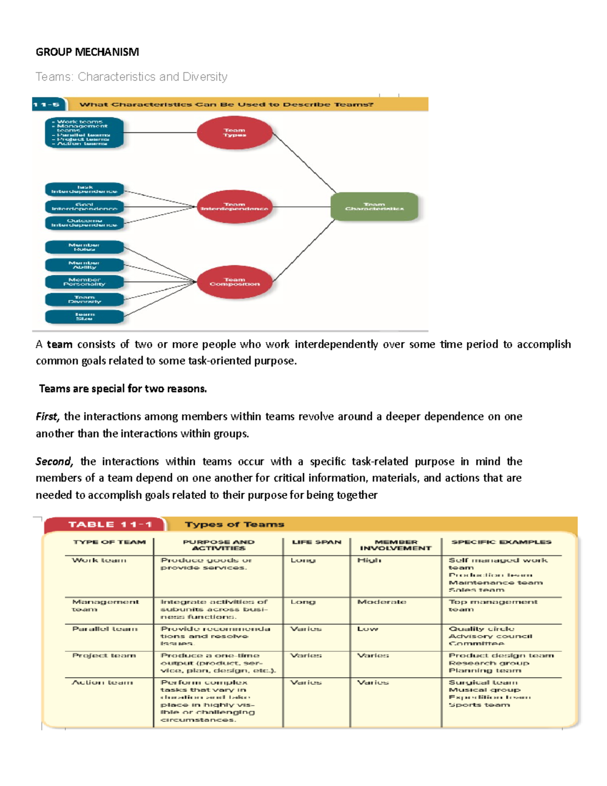 Group Mechanism - GROUP MECHANISM Teams: Characteristics and Diversity ...