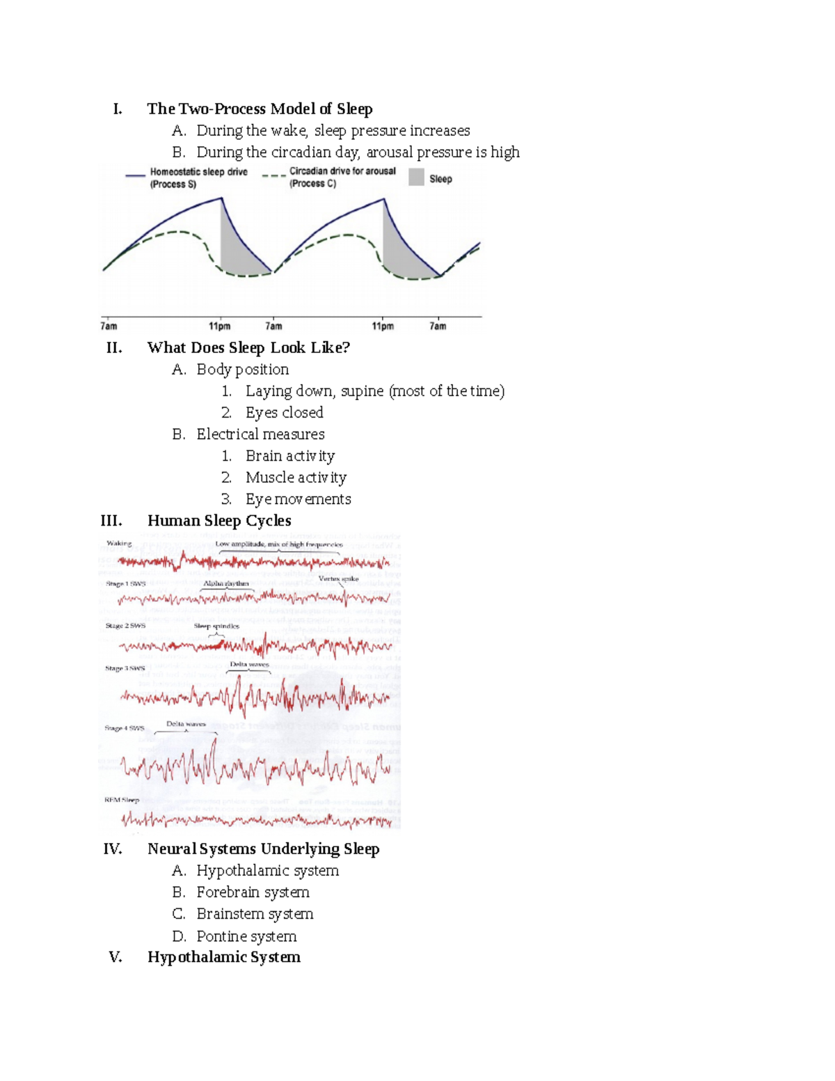 Rhythms and Sleep - notes - I. The Two-Process Model of Sleep A. During ...