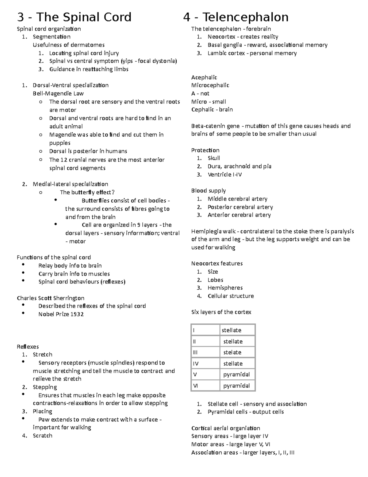 Lecture 3-7 Notes - 3 - The Spinal Cord Spinal cord organization 1 ...