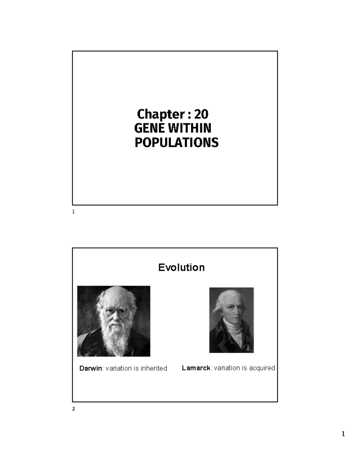 Biology 1022 Chapter 20 - 21 Slides - Chapter : 20 GENE WITHIN ...
