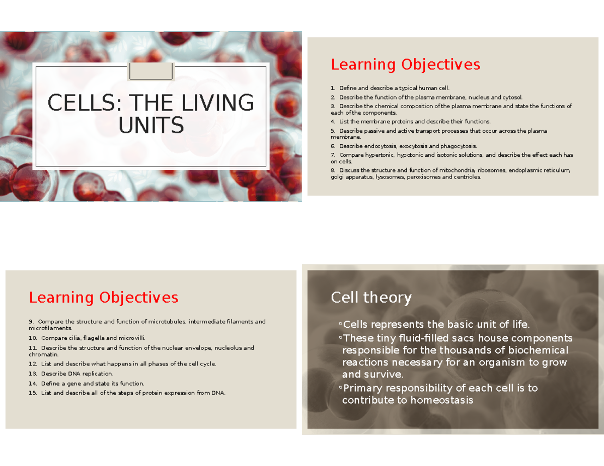 CHAP 3 - chapter 3 anatomy - CELLS: THE LIVING UNITS Learning ...