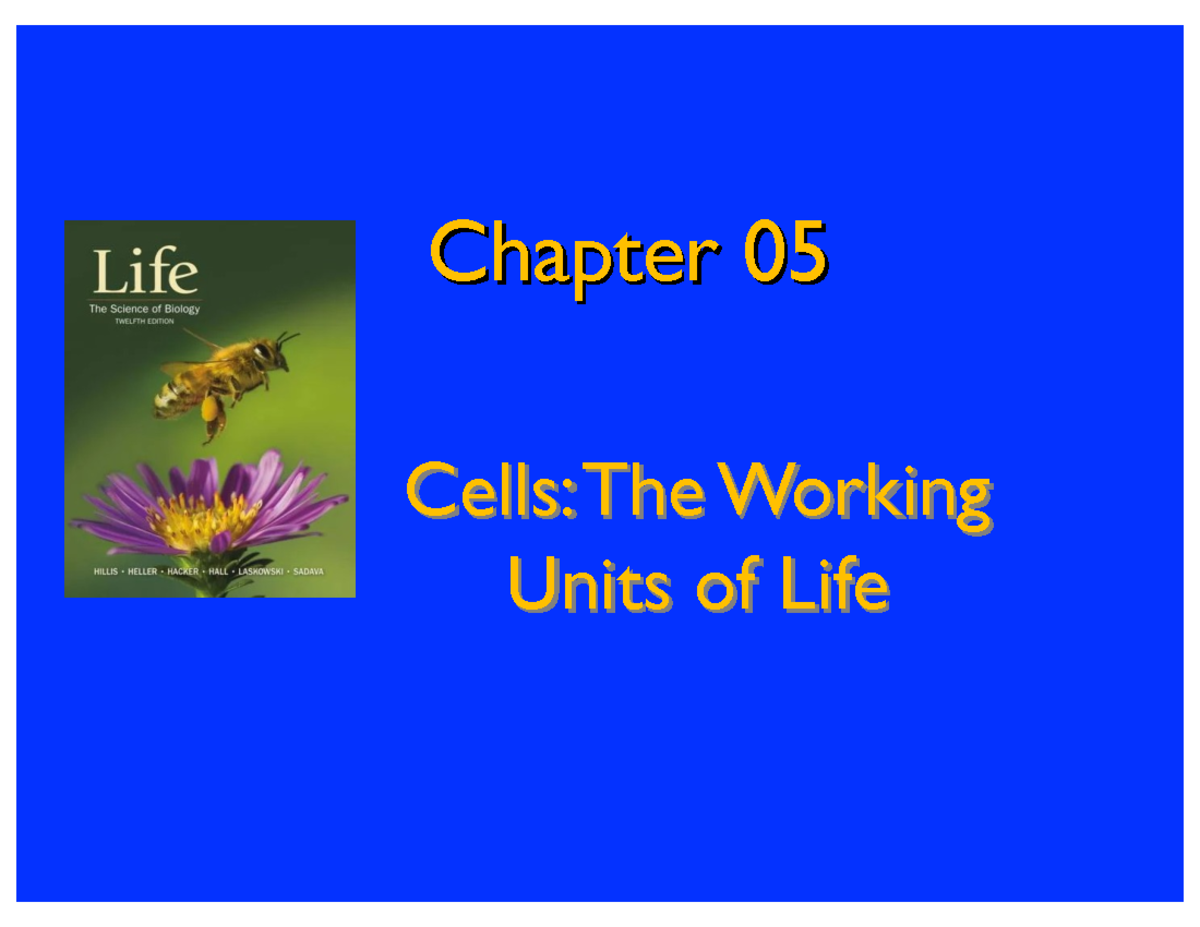 Color-Chapter Five Intro To Cell-2 - Cells: The Working Units of Life ...