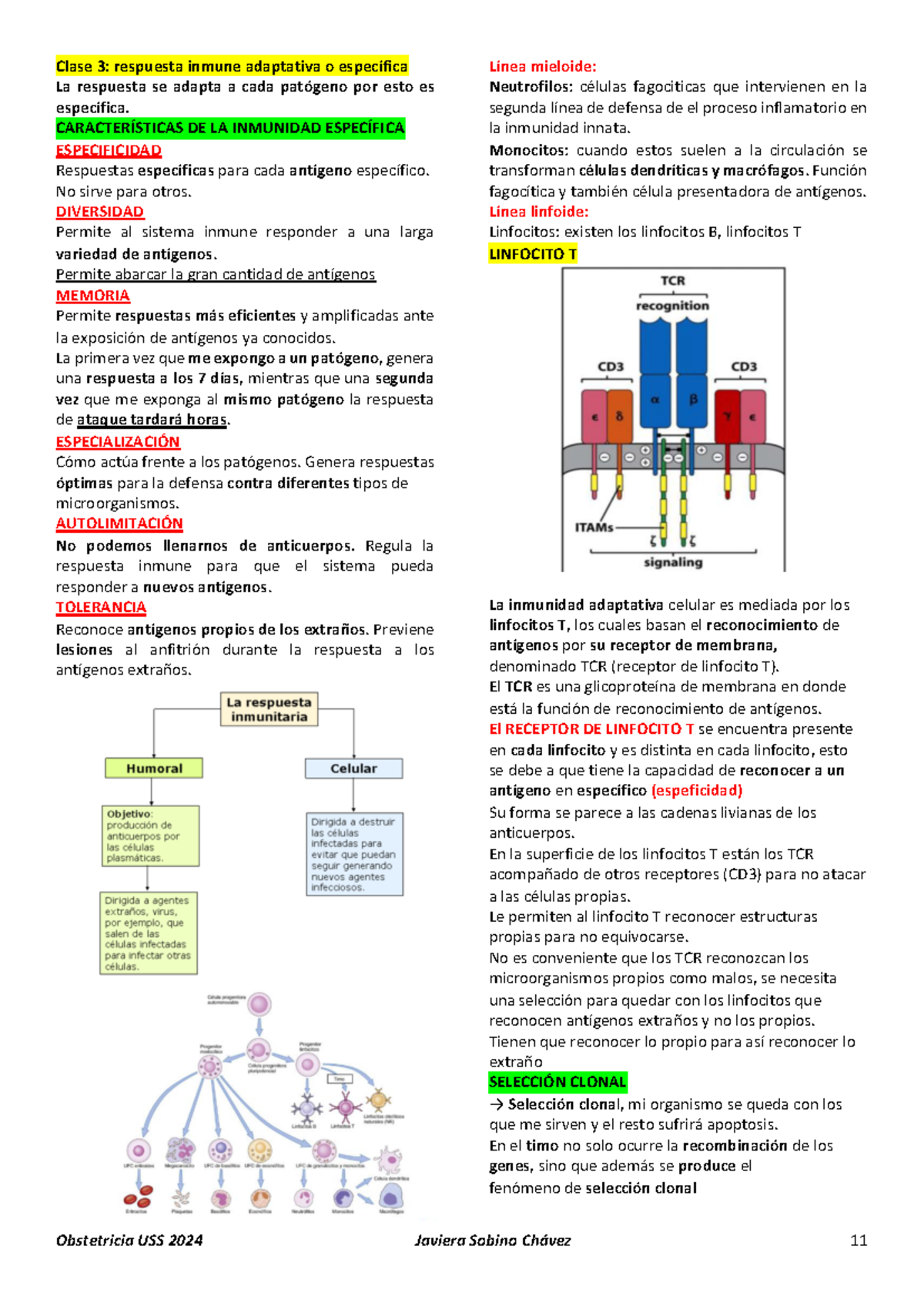 Tercera línea de defensa - Clase 3: respuesta inmune adaptativa o ...