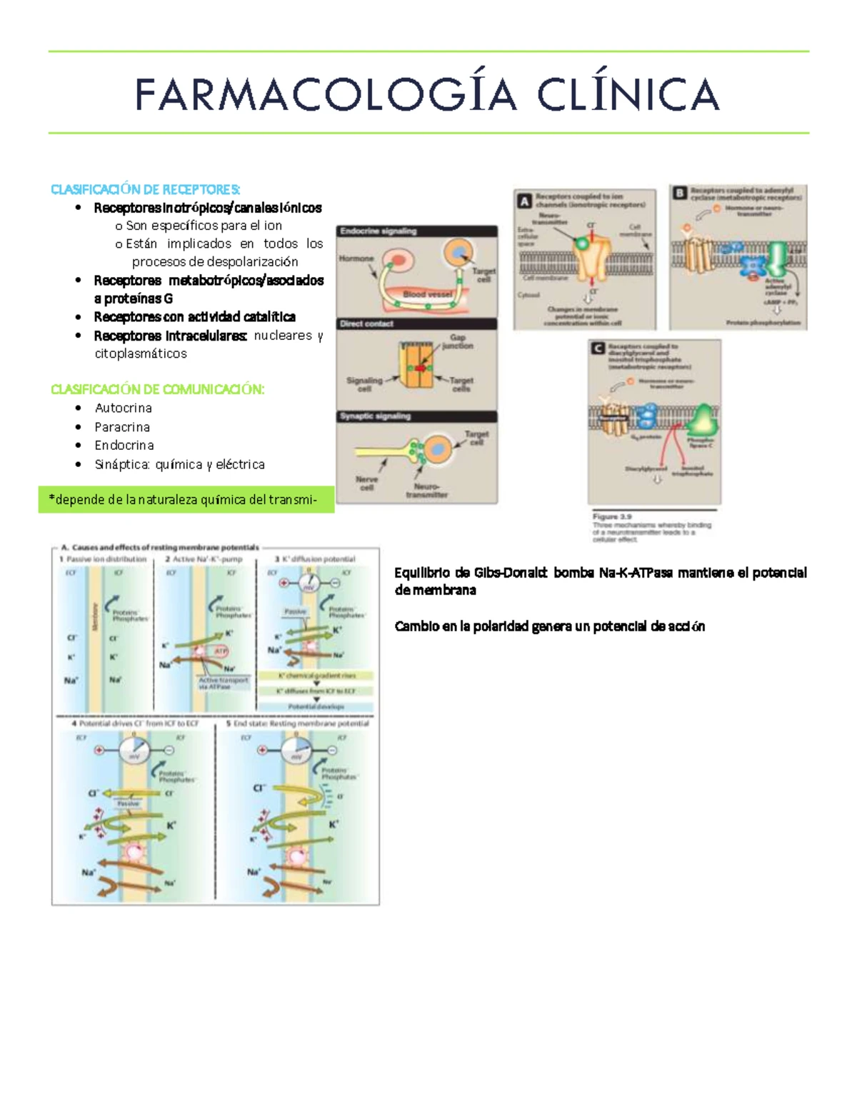 Resumen capitulo 12 - Farmacología básica y clínica - Warning: TT: undefined function: 32 ...