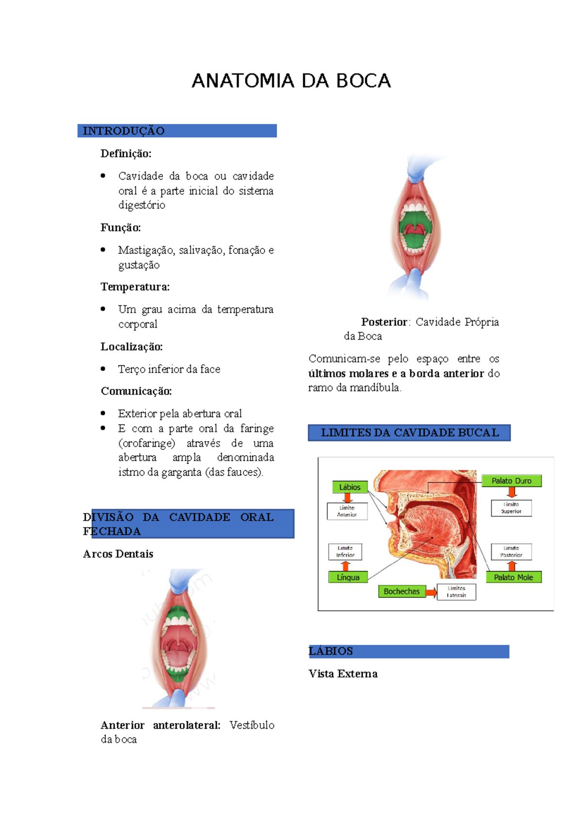 ANATOMIA DA CAVIDADE ORAL - ANATOMIA DESCRITIVA DA BOCA - ANATOMIA DA ...