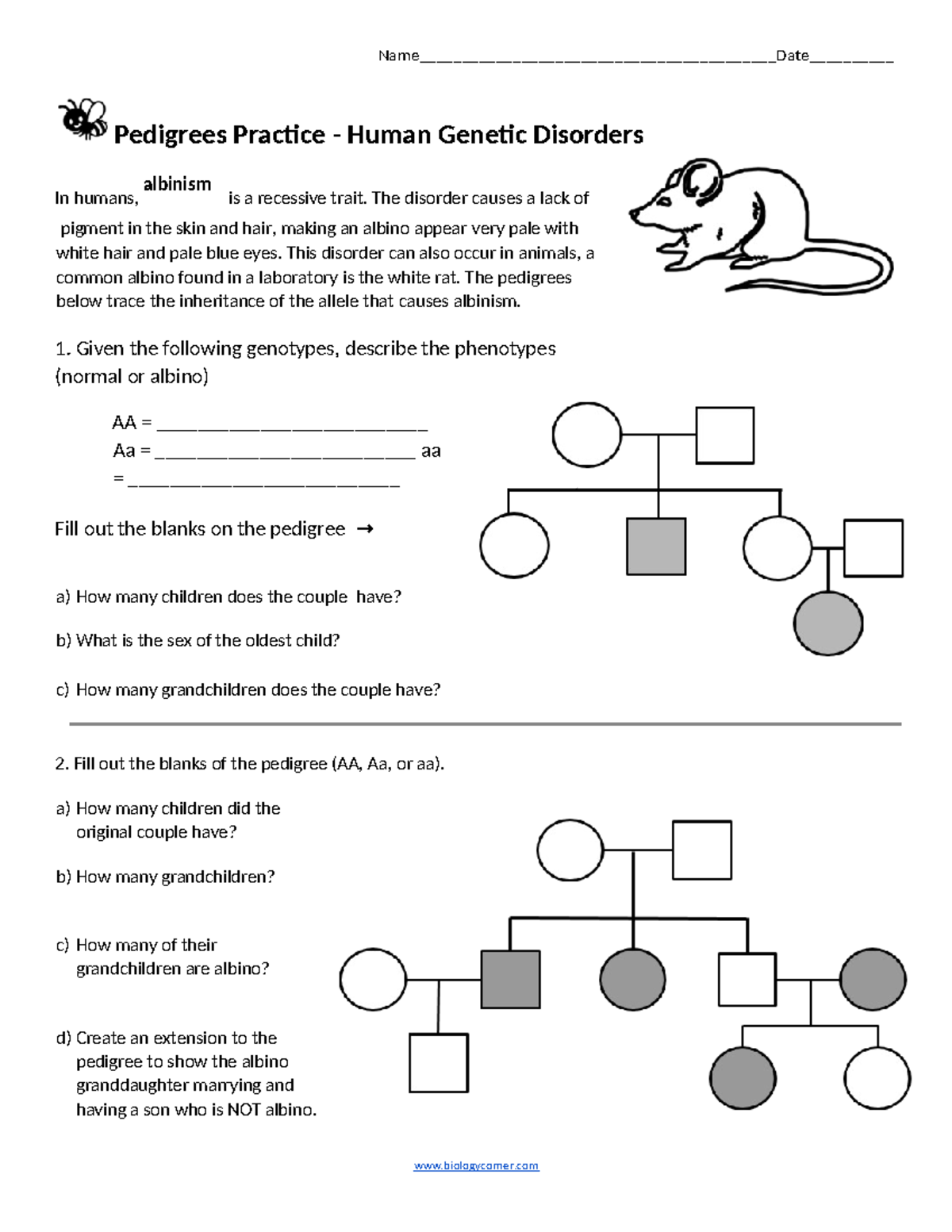 Pedigrees Practice - Human Genetic Disorders - - Studocu