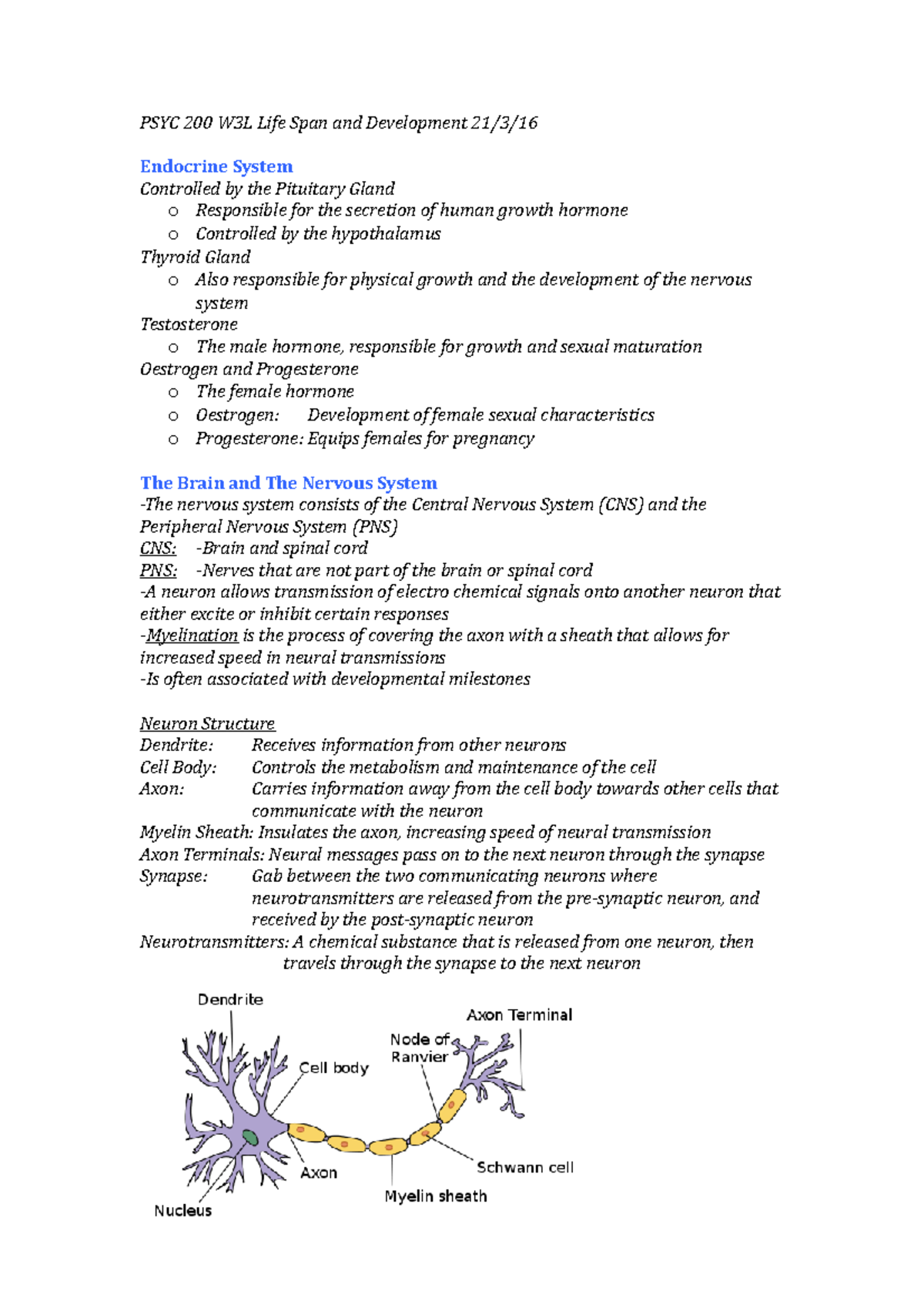 PSYC 200 W3L Life Span and Development 21 - Centre to fine-motor skills ...