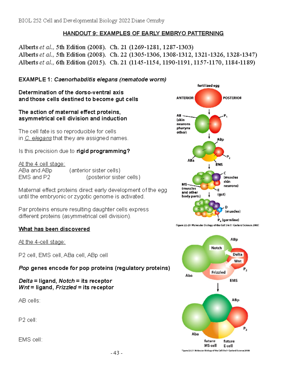 252 2022 Handout for lecture #9 Diane - HANDOUT 9: EXAMPLES OF EARLY ...
