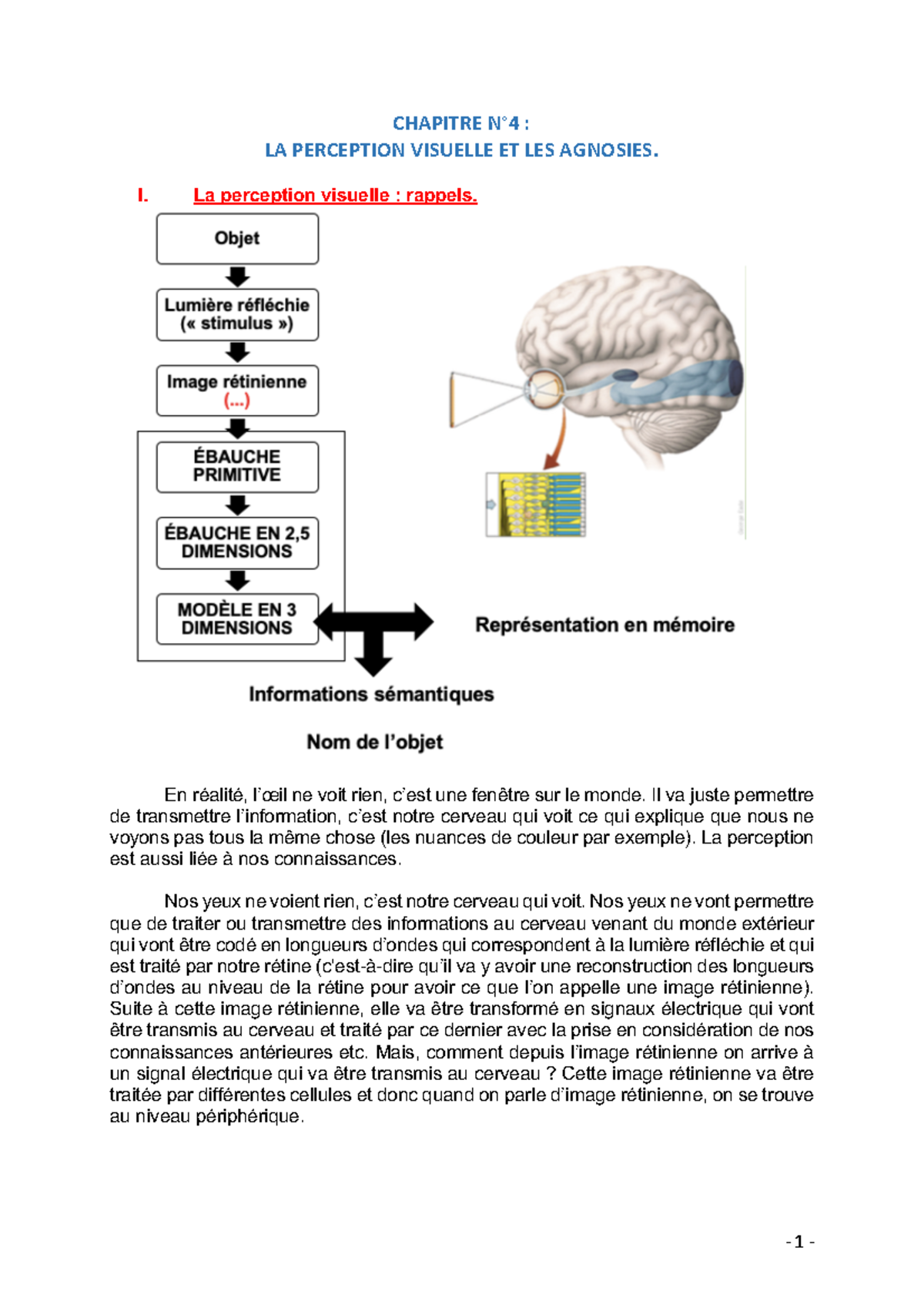 Chapitre n°4 - La perception visuelle et les agnosies. - CHAPITRE N°4 ...