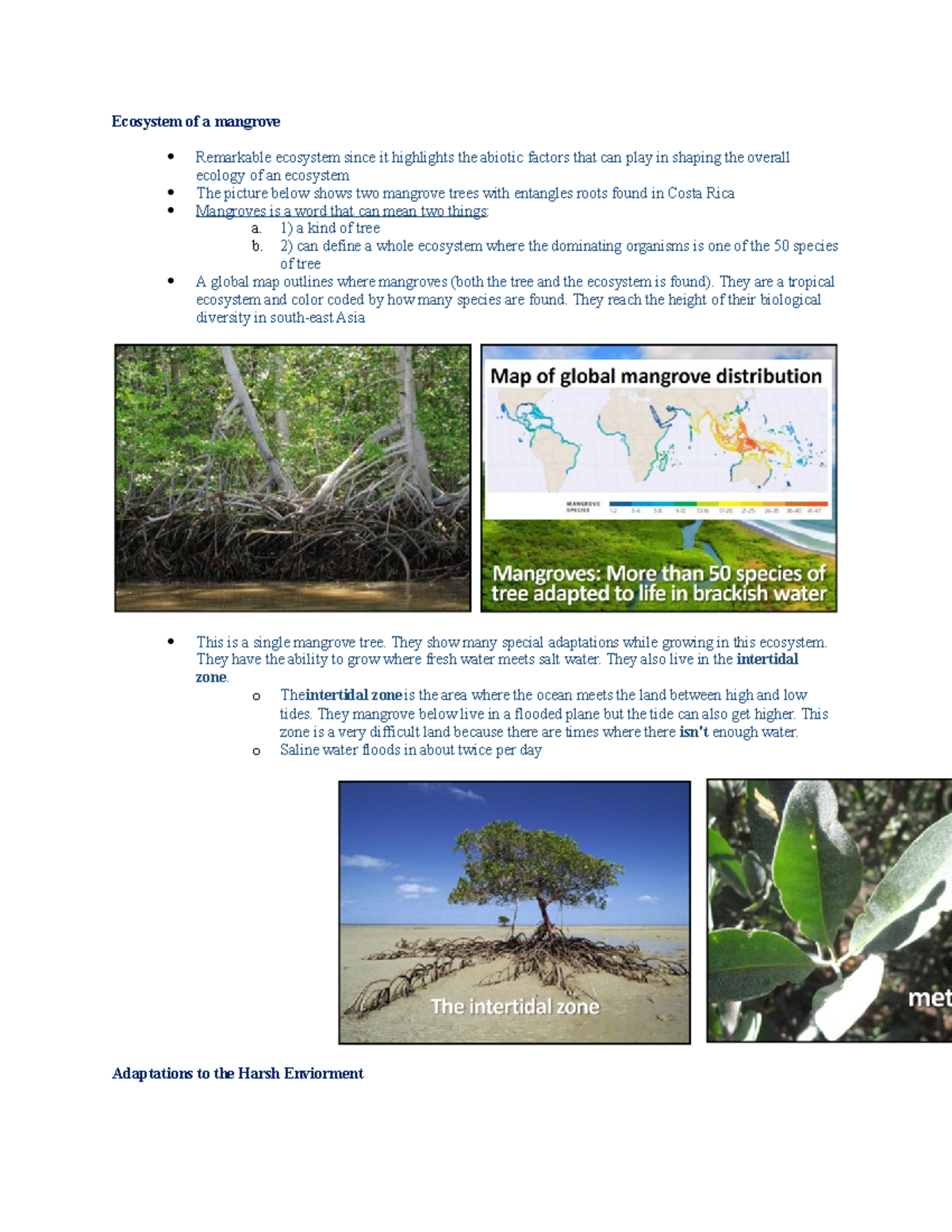 Chapter 2- Environmental Influences - Ecosystem of a mangrove ...