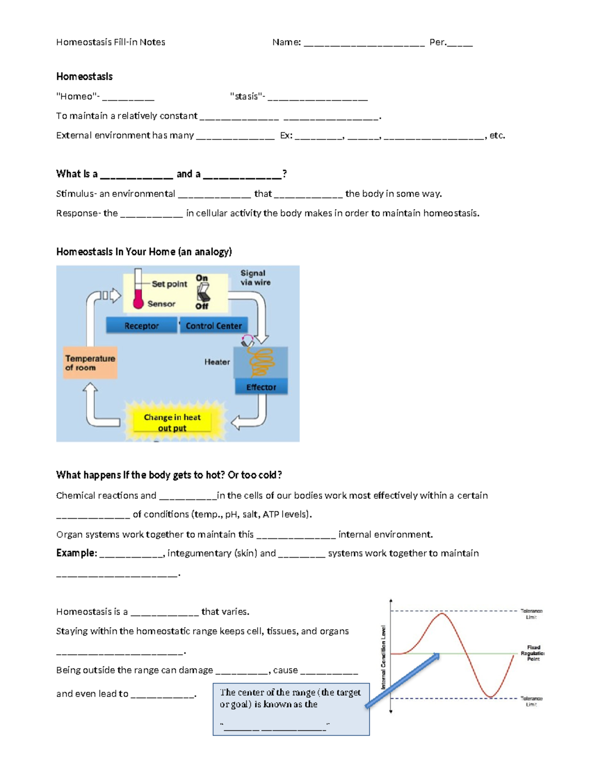 12 Homeostasis Fi N - easy work for students - Homeostasis Fill-in ...