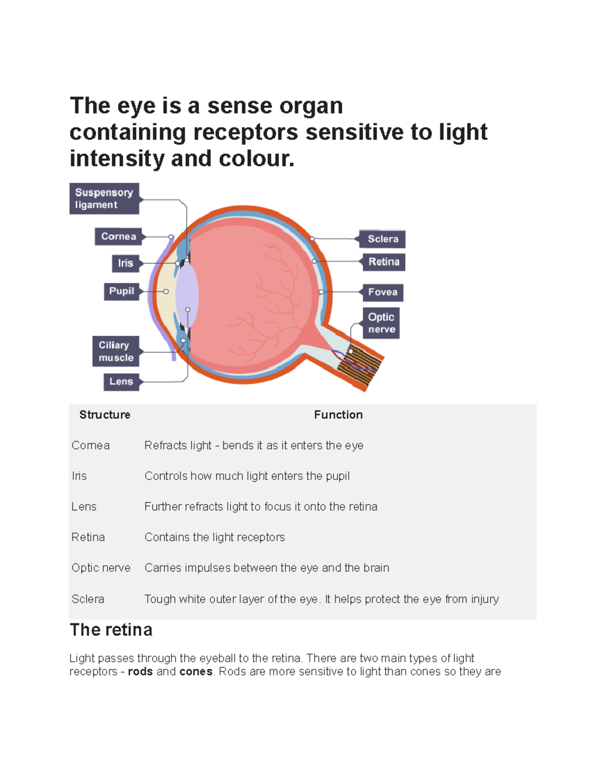 The eye is a sense organ containing - The eye is a sense organ ...
