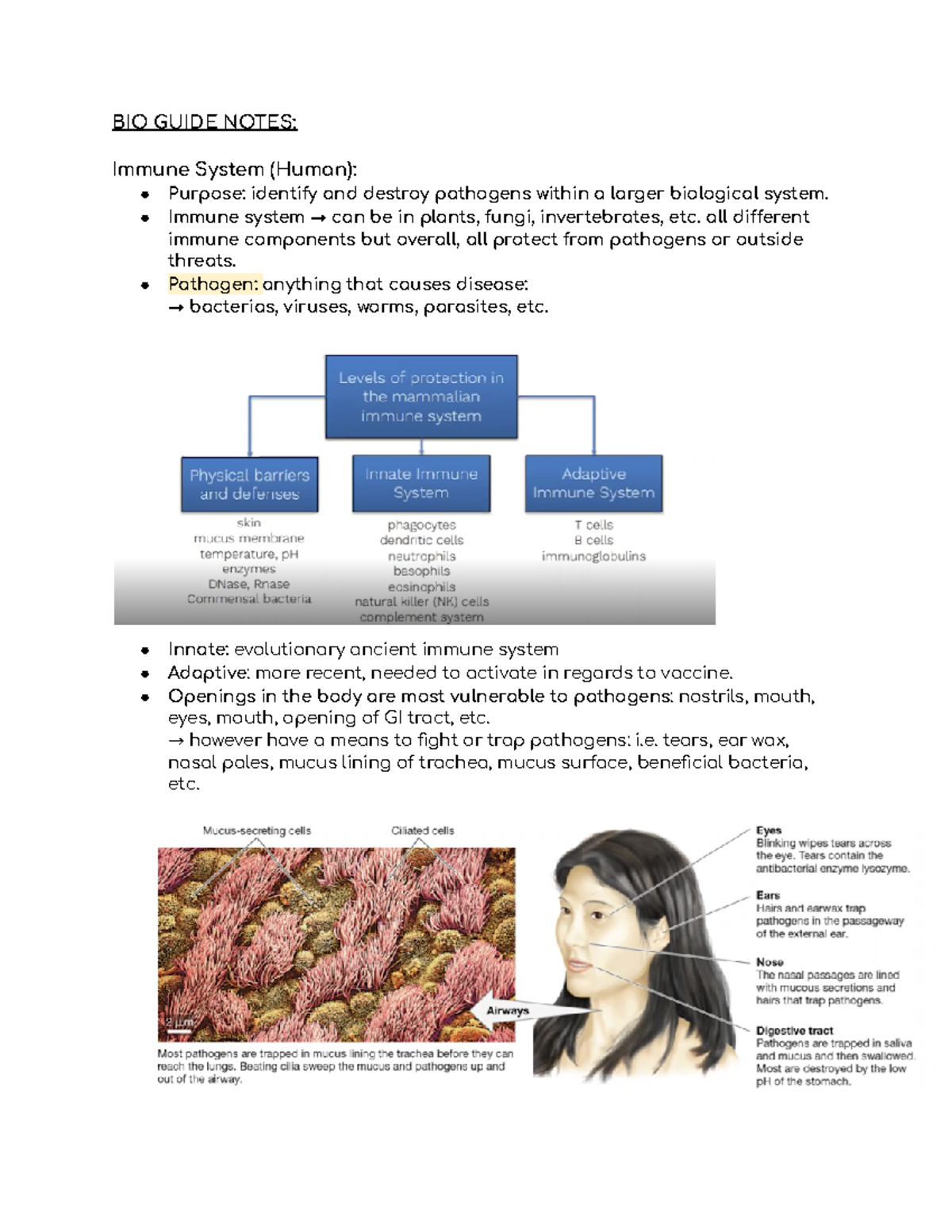 Bio Notes (Immunity, Plants, & Hormones) - BIO GUIDE NOTES: Immune ...