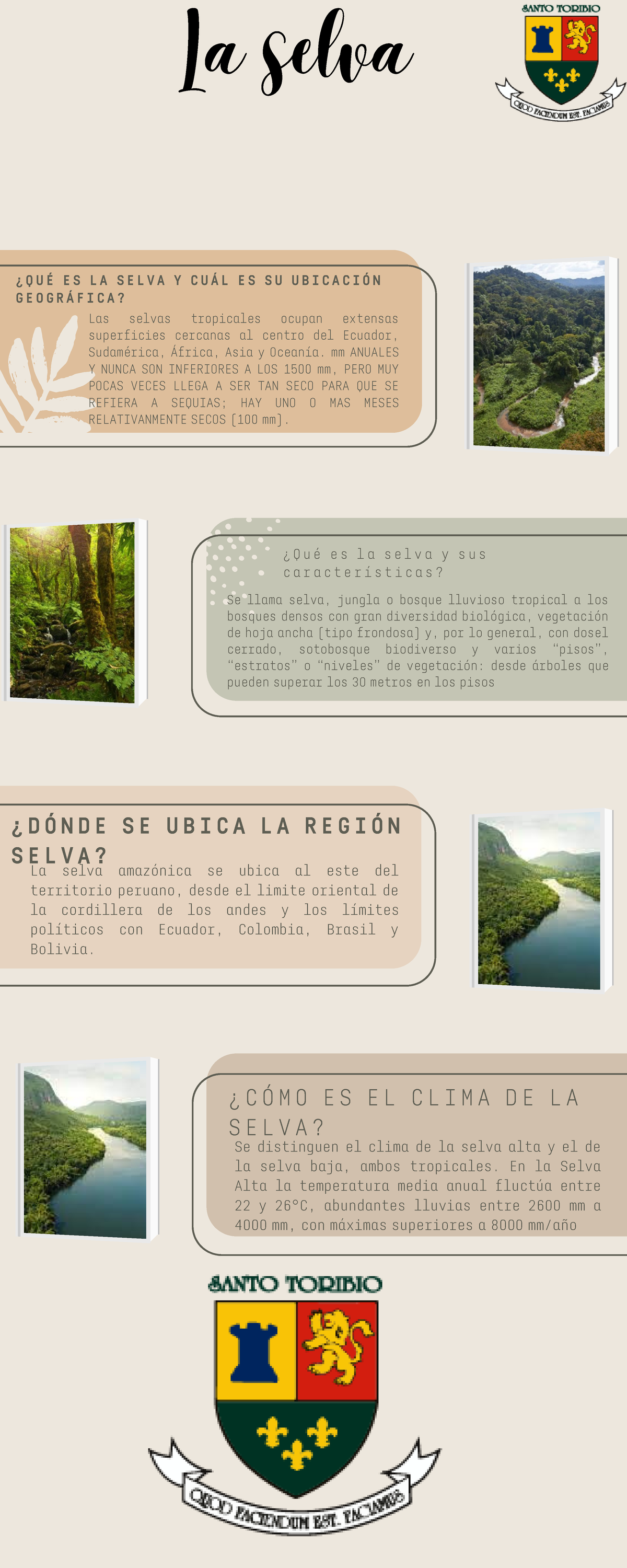 Selva - sdjmmcn - La selva ¿ Q U É E S L A S E L V A Y C U Á L E S S U ...