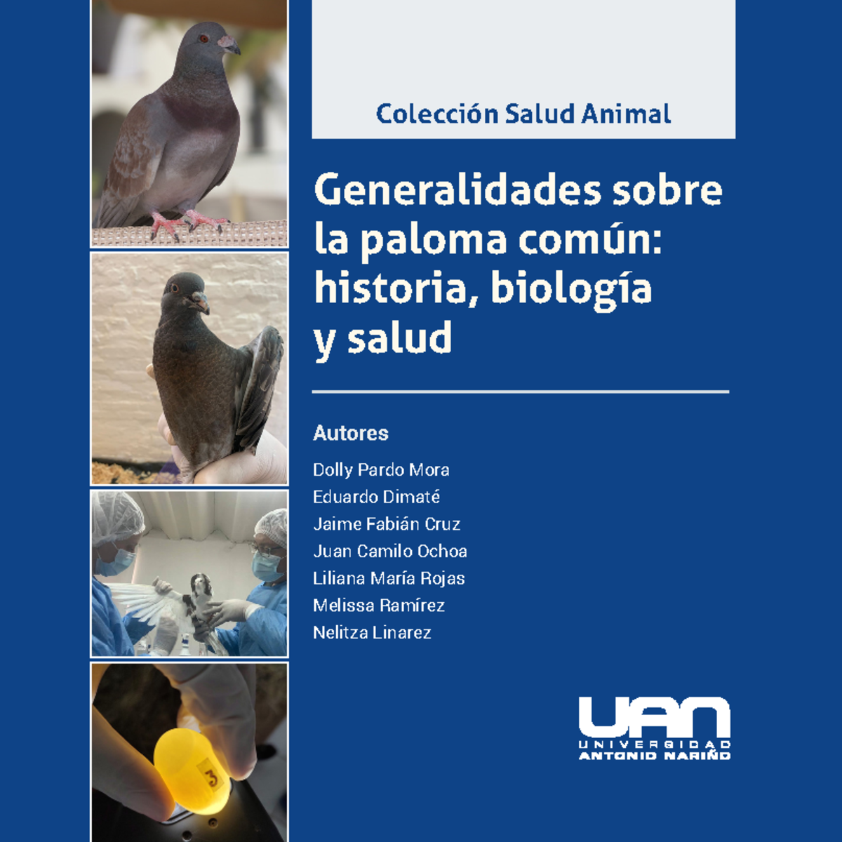 Palomas dig - Generalidades sobre la paloma común: historia, biología y ...