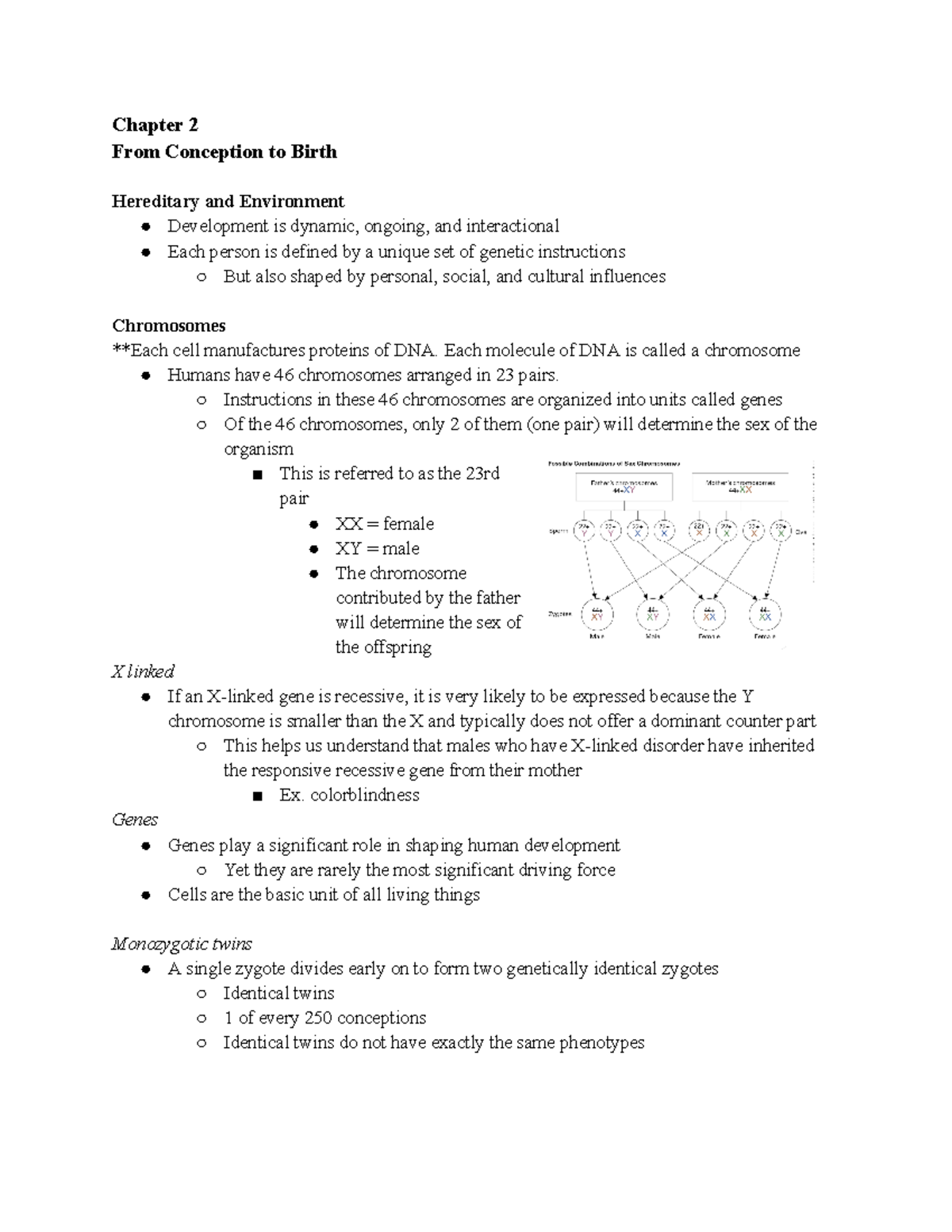 3. from conception to birth-chpt. 2 - Chapter 2 From Conception to ...
