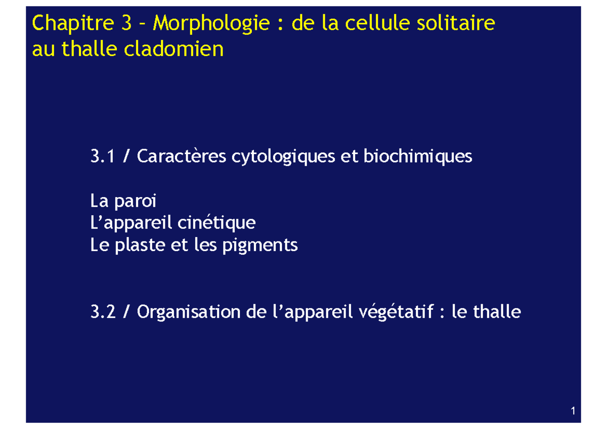 Chapitre 3 Algues - Chapitre 3 – Morphologie : de la cellule solitaire ...