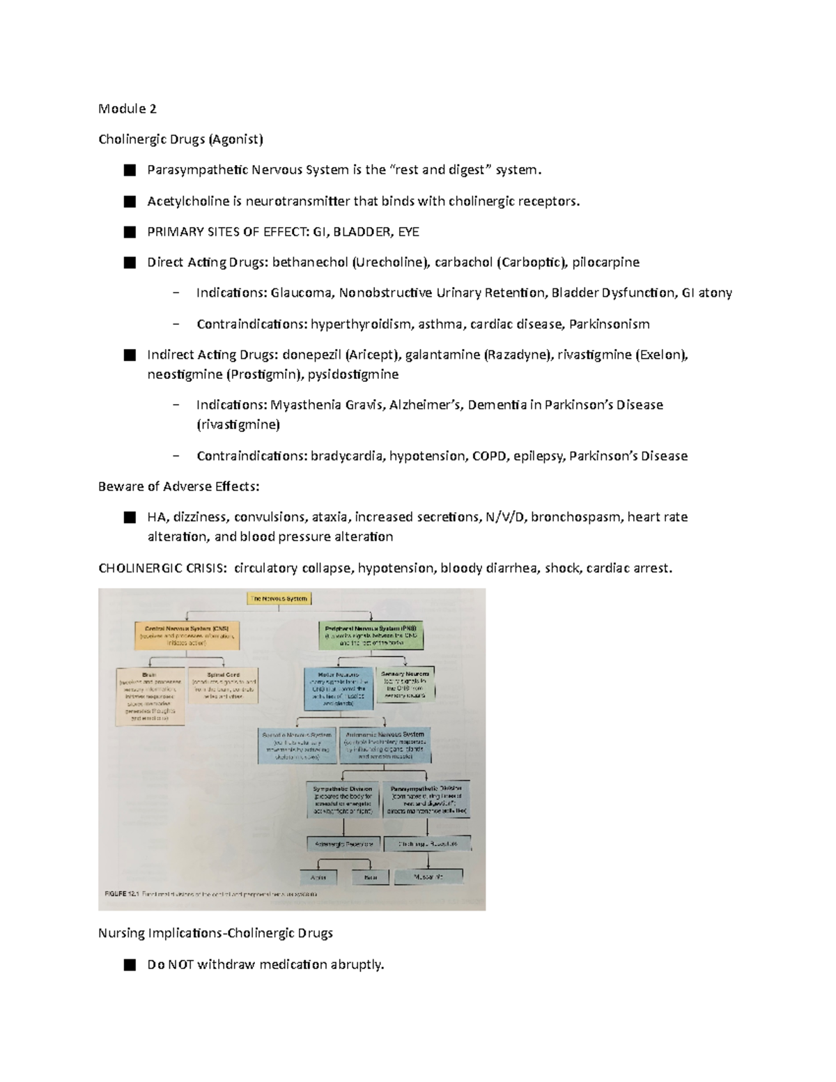 Module 2 Nervous System Study Guide - Module 2 Cholinergic Drugs ...