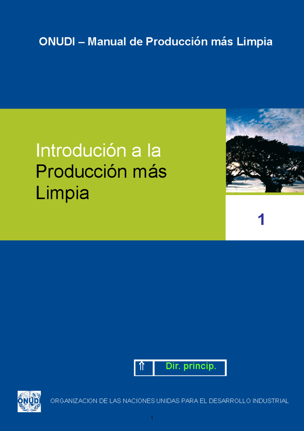 Producción más limpia - 1 Introdución a la Producción más Limpia ONUDI ...