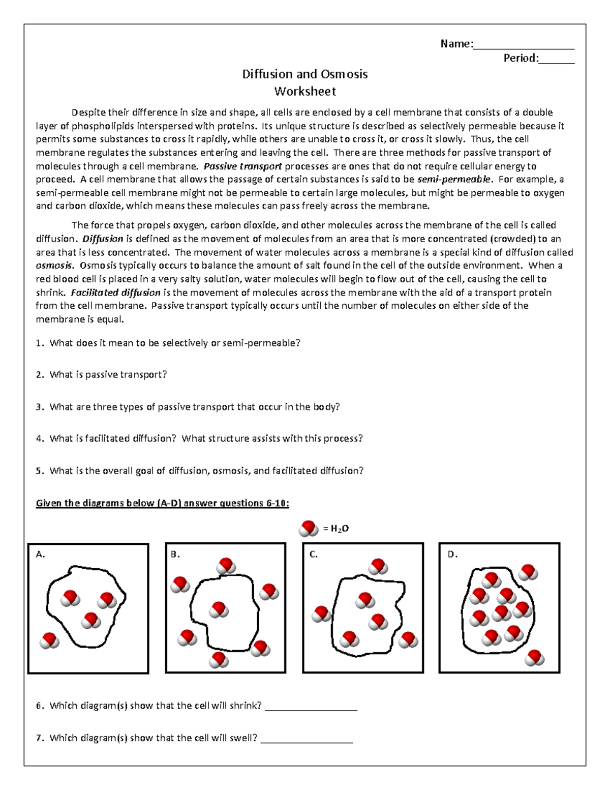 Diffusion and osmosis worksheet - Name:_________________ Period ...