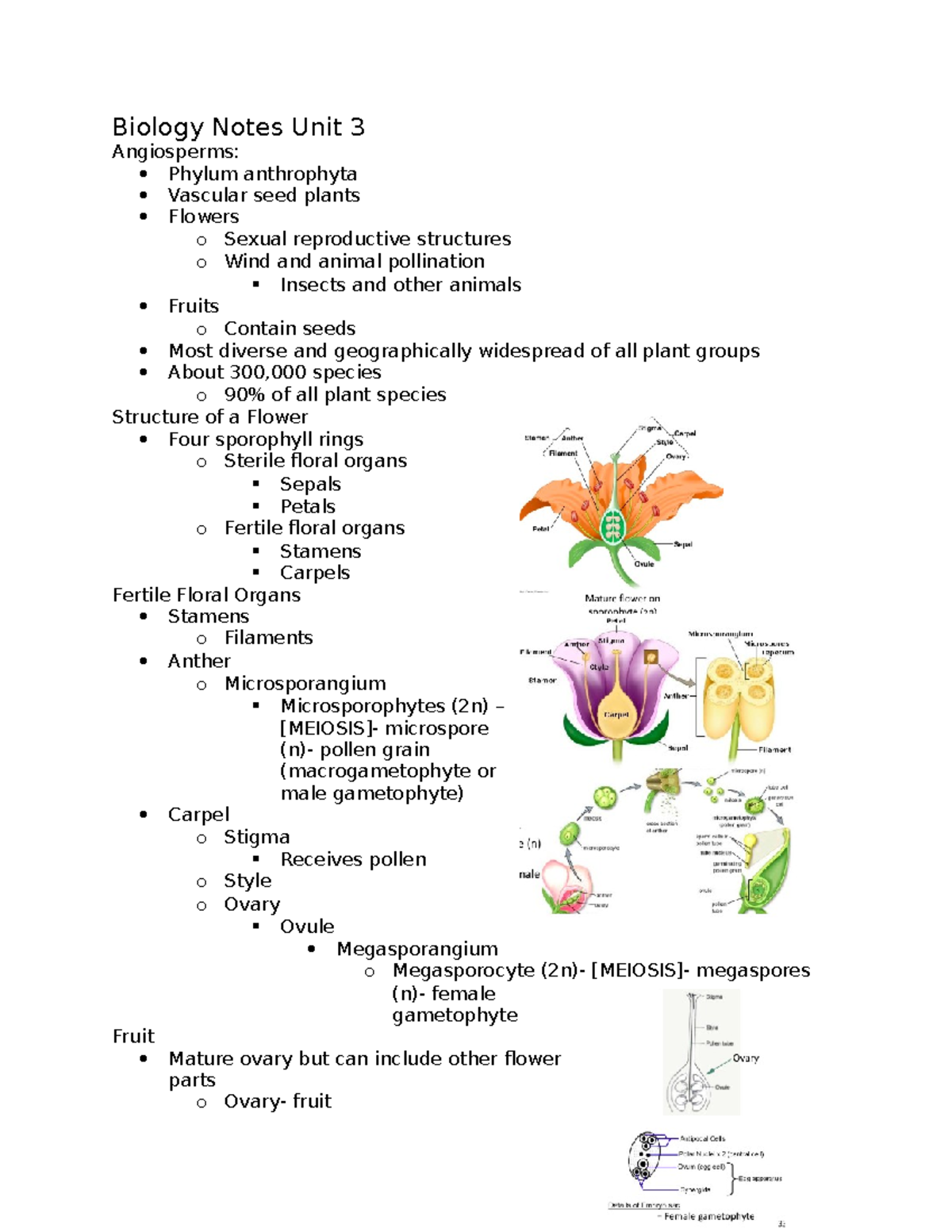 Biology Notes Unit 3 - Dr. Cortinas - Biology Notes Unit 3 Angiosperms ...